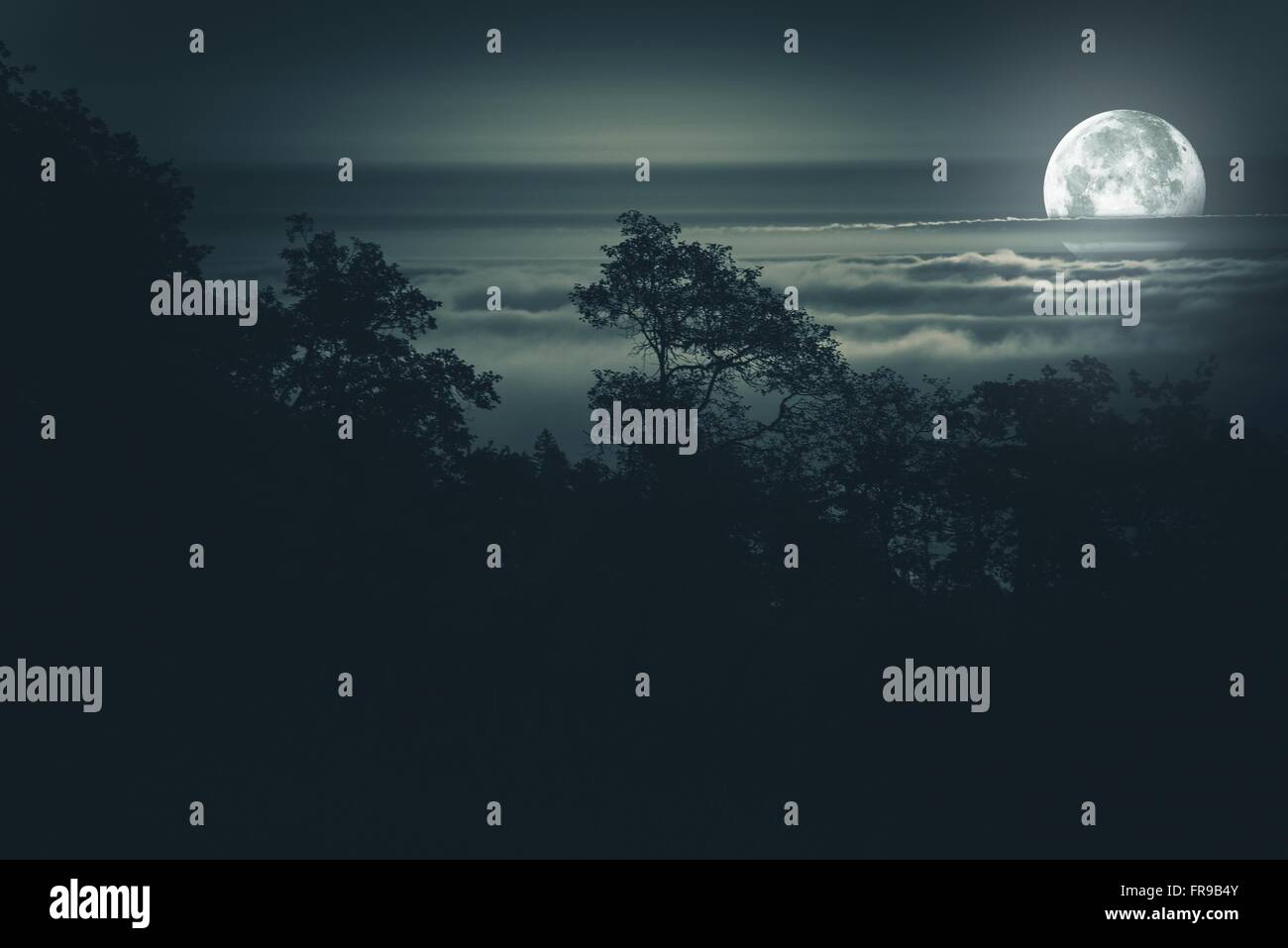 Full Moon Night. Moon Light Above Foggy Valley. Scenic Night Time ...