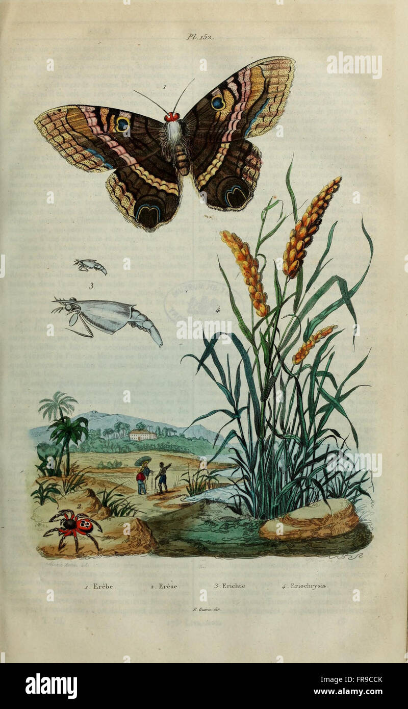 This illustrated dictionary covers natural history and the phenomena of ...