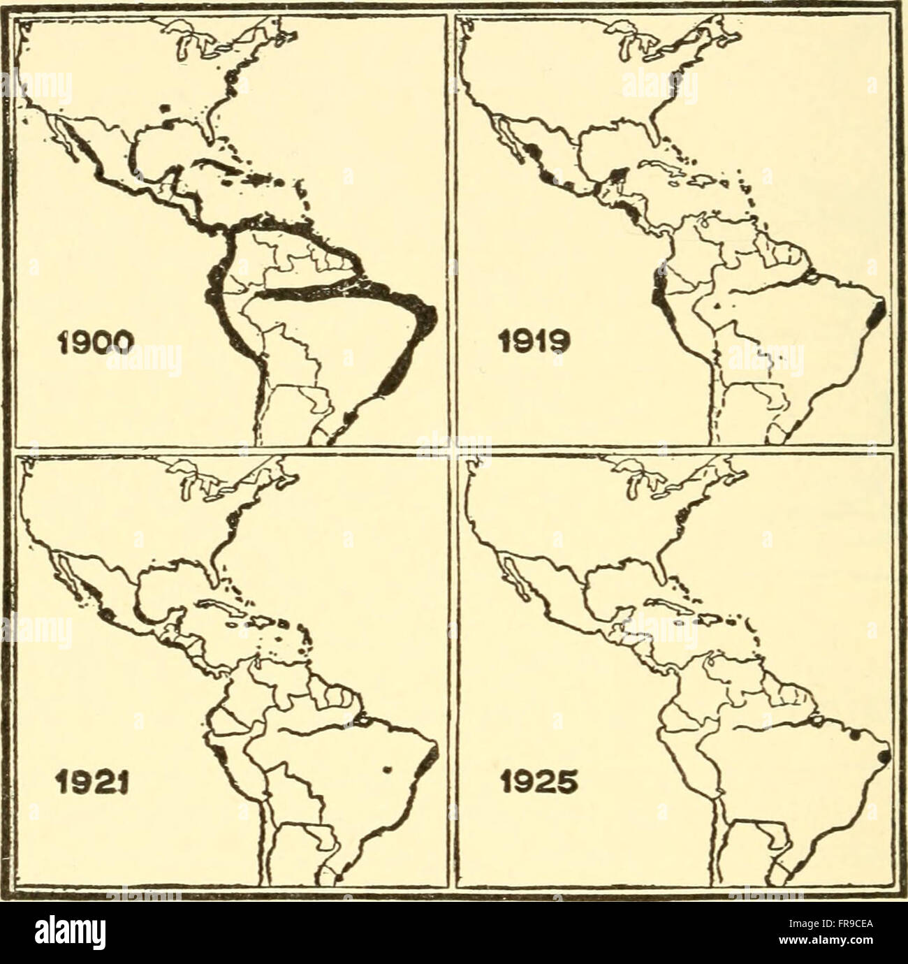 Animal biology 1938 hi-res stock photography and images - Alamy