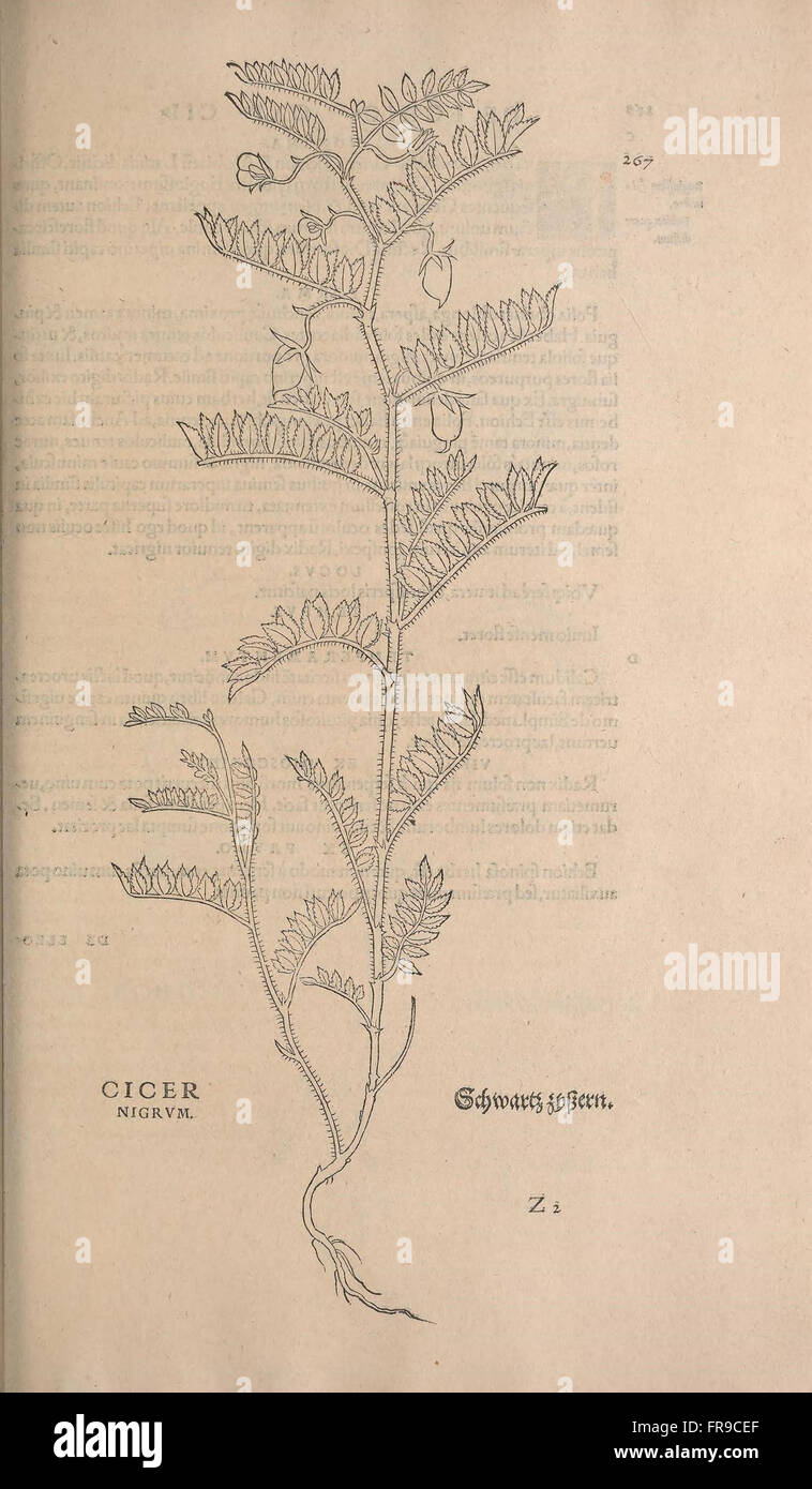 This work, 'De Historia Stirpium Commentarii Insignes,' provides ...