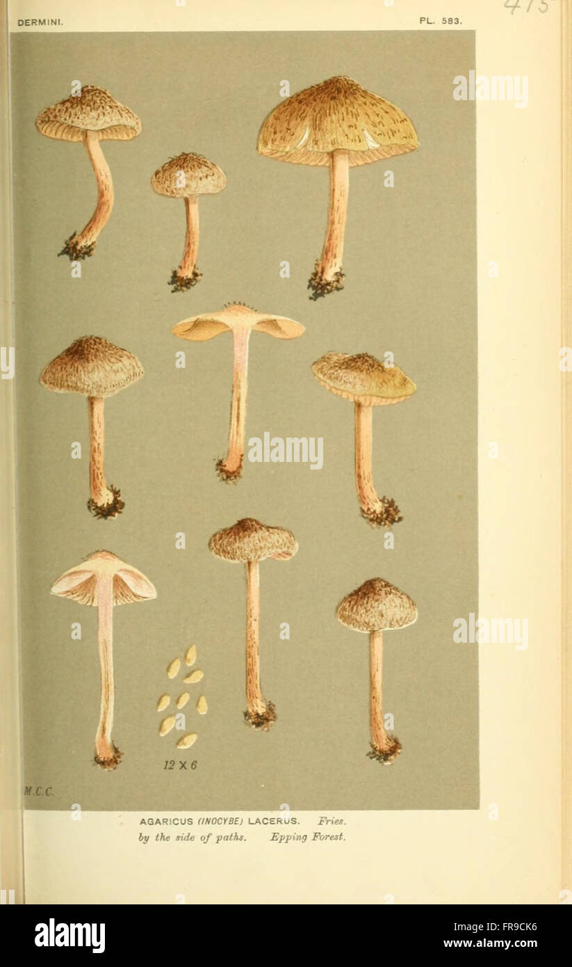 This illustrated work serves as an atlas to the Handbook of British ...