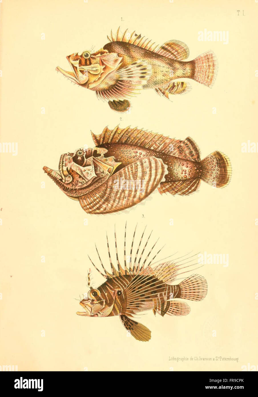 The 'Atlas des Poissons Vénéneux' (Venomous Fish Atlas) presents a ...