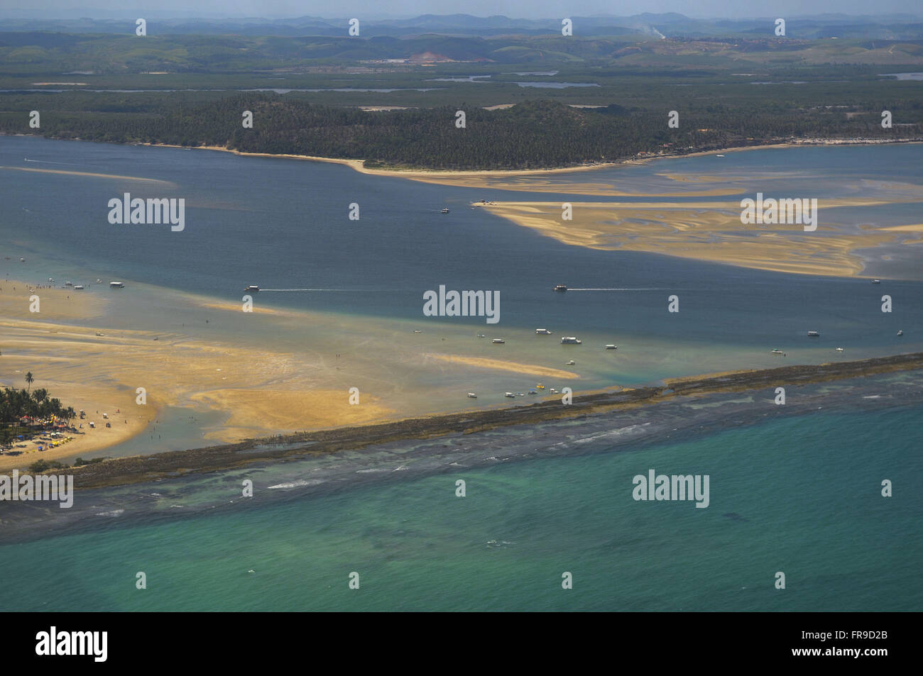 Beach of Sheep - aerial view Stock Photo - Alamy