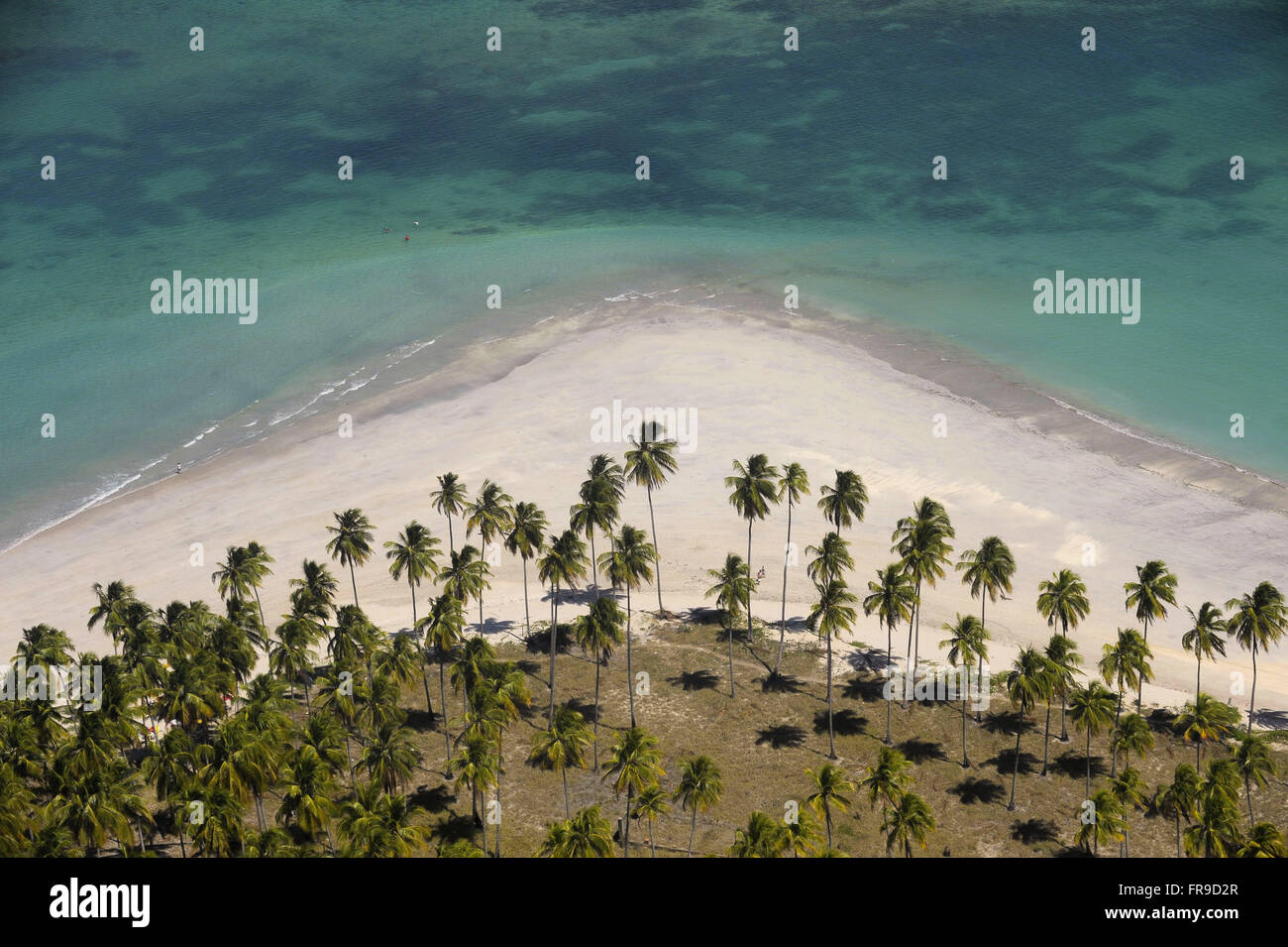 Beach of Sheep - aerial view Stock Photo - Alamy