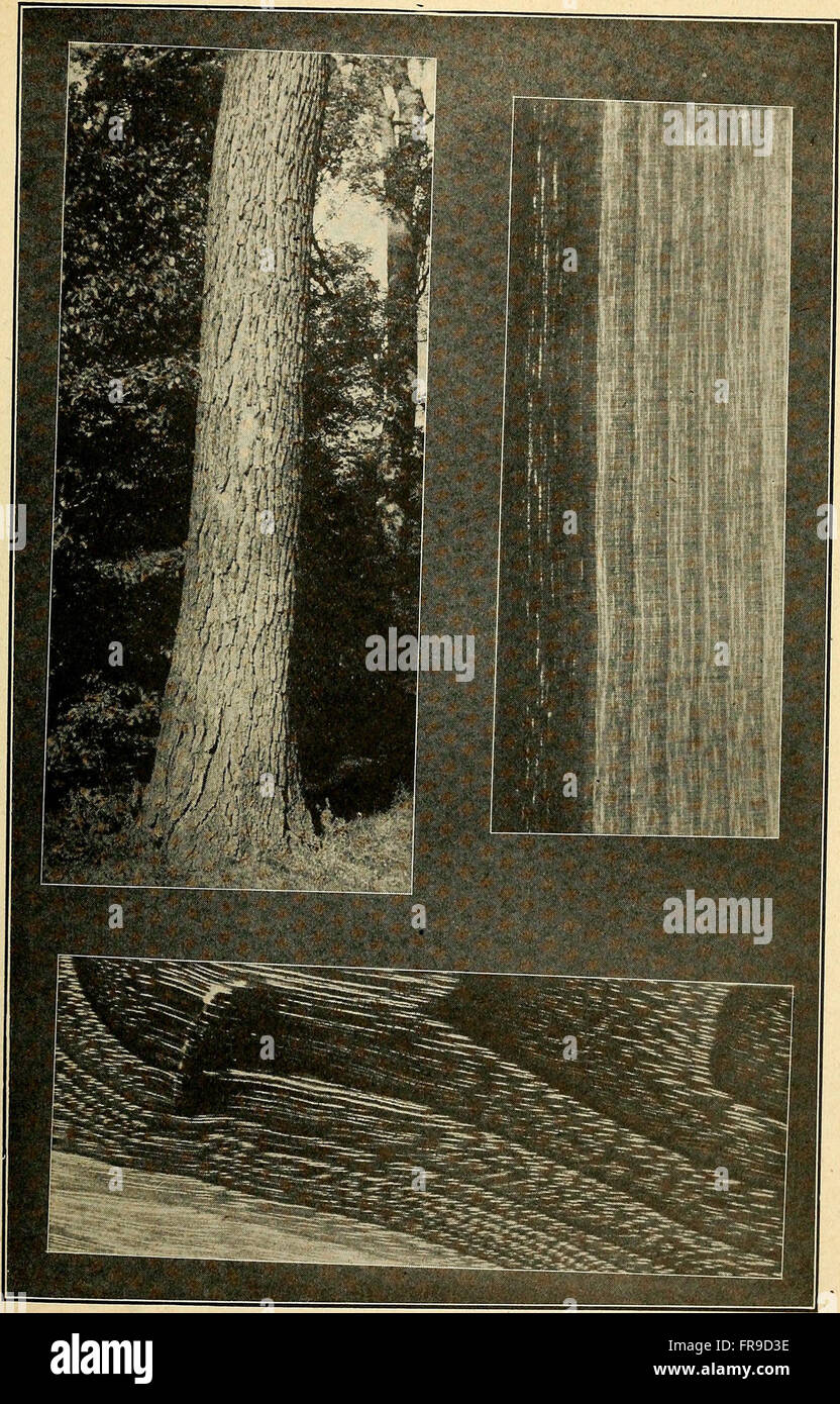 The 1905 edition of the 'Documentary Journal of Indiana' presents key ...