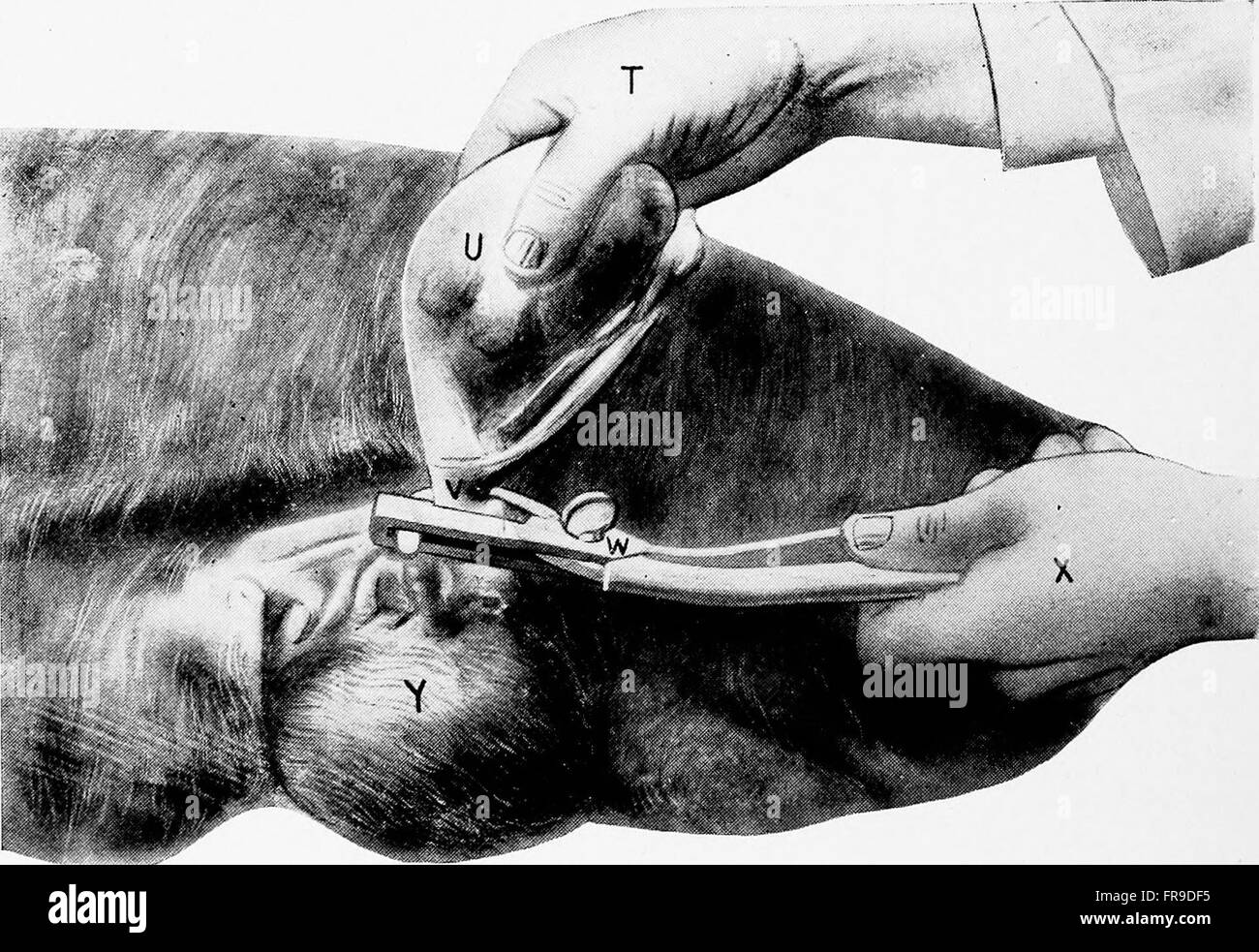 This book provides a comprehensive guide to the practice of animal ...