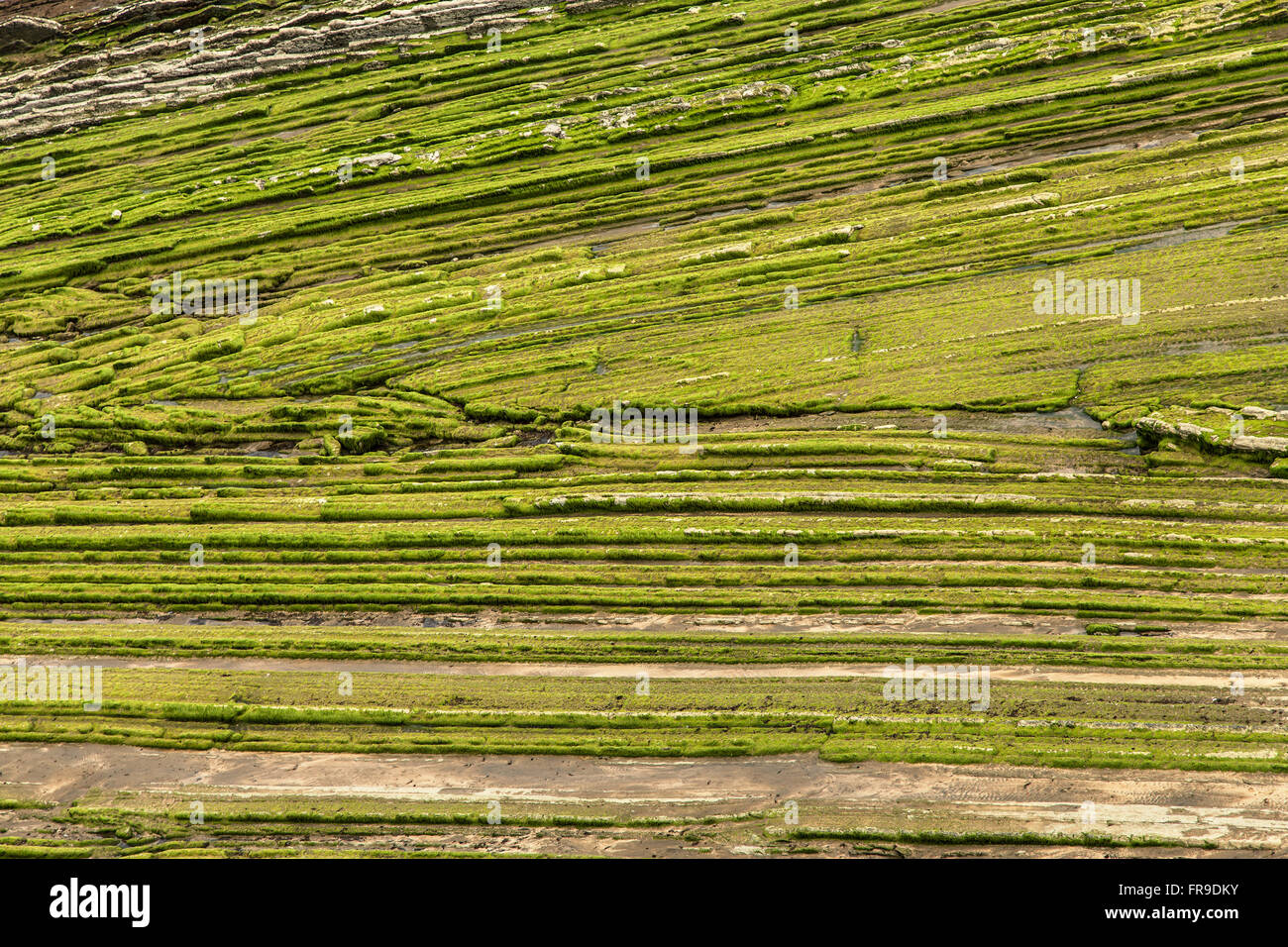 Horizontal strata hi-res stock photography and images - Alamy