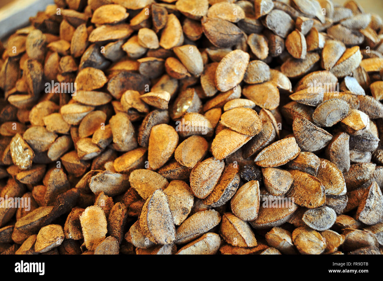 Chestnut market hi-res stock photography and images - Alamy