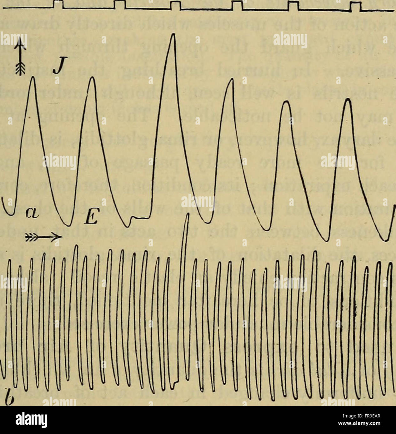 This handbook from 1892 provides a comprehensive overview of human ...