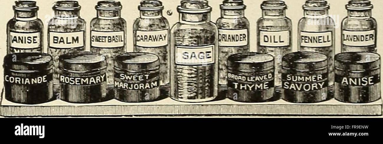 H.W. Buckbee seed and plant guide - 1905 (1905 Stock Photo - Alamy
