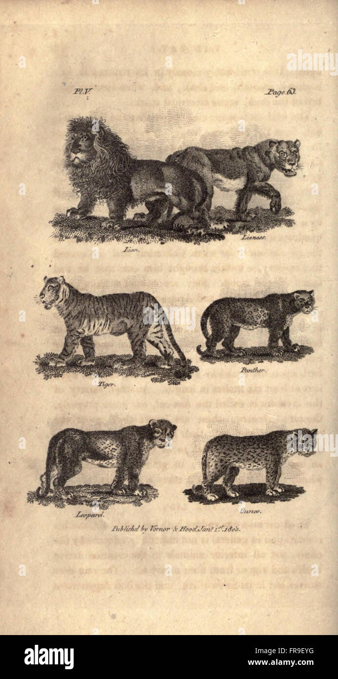 Goldsmiths history earth animated nature hi-res stock photography and ...