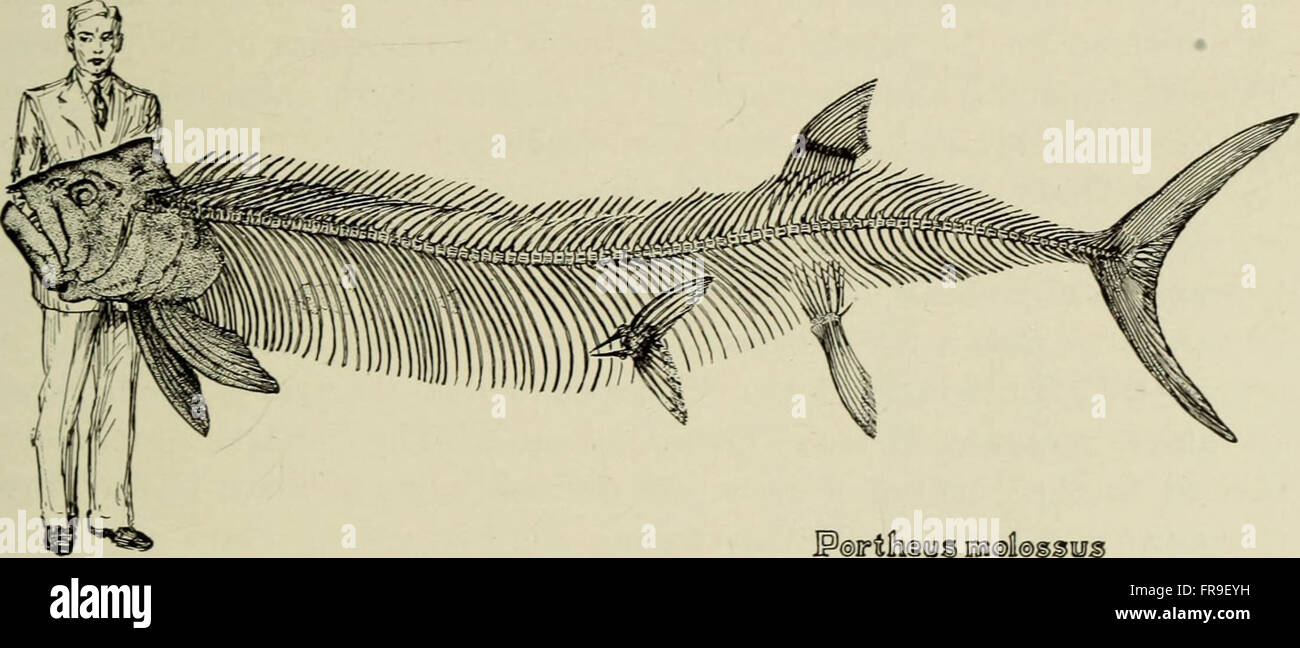 A leaflet from 1901 providing guidance on an undisclosed topic. It ...
