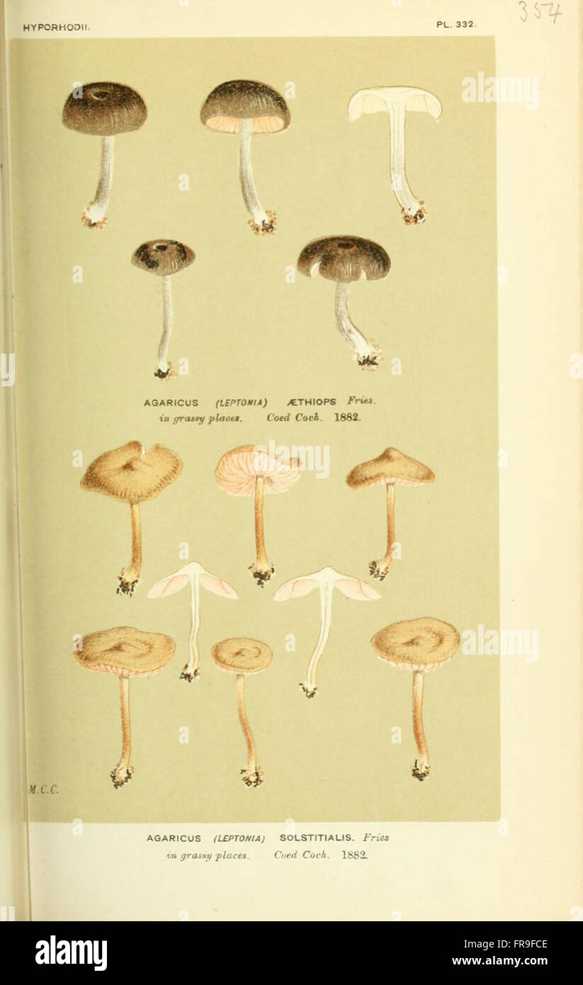 This collection of illustrations provides visual references for ...