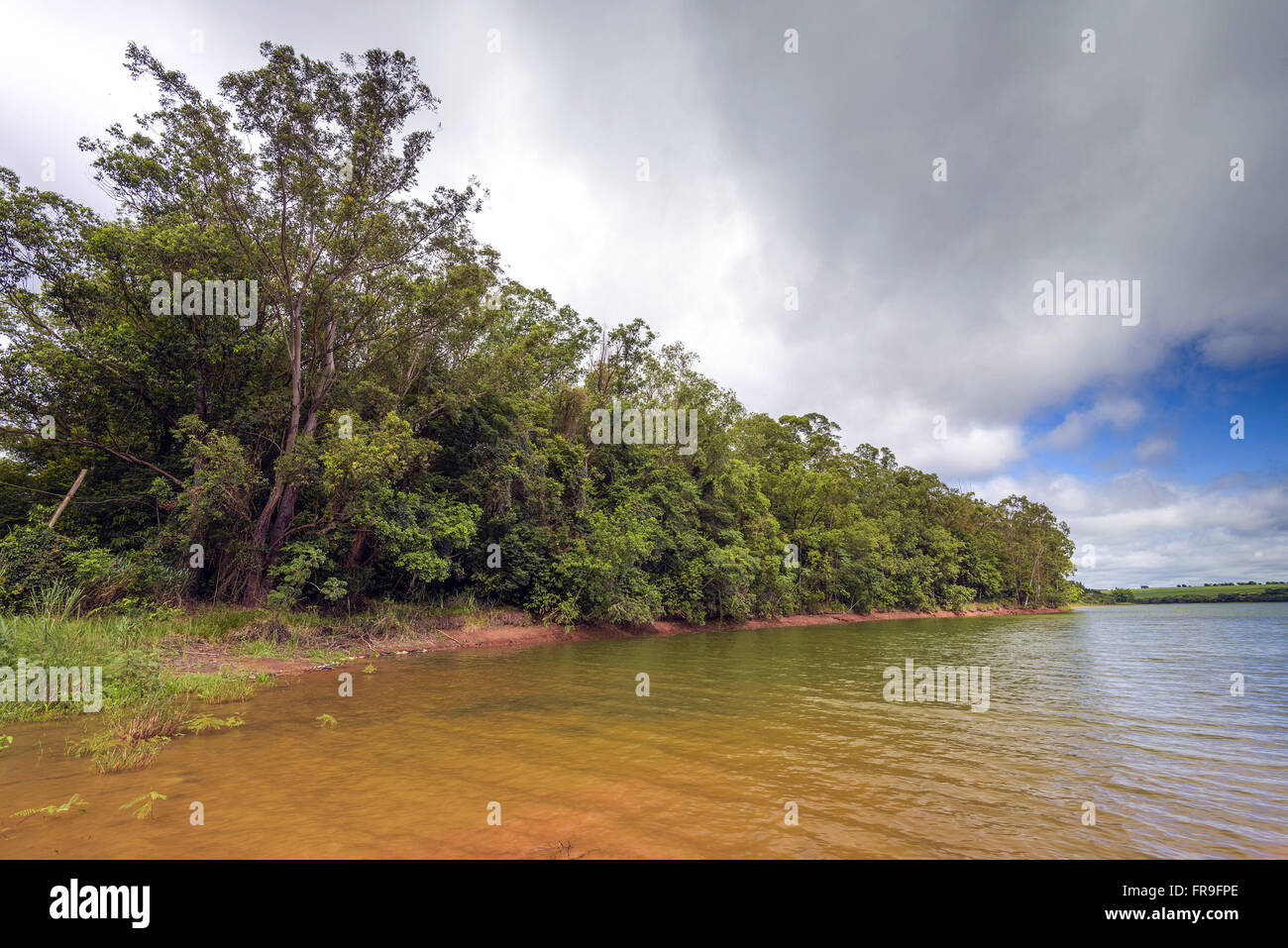Dam lake with native vegetation surrounding Stock Photo - Alamy