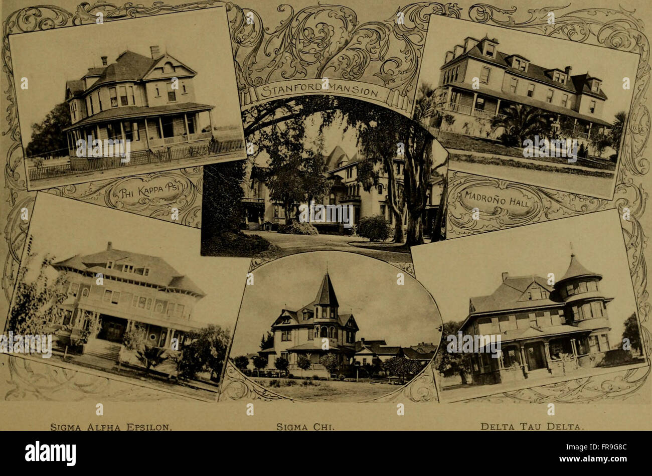 The photo-gravures of Leland Stanford Junior University from 1900 ...