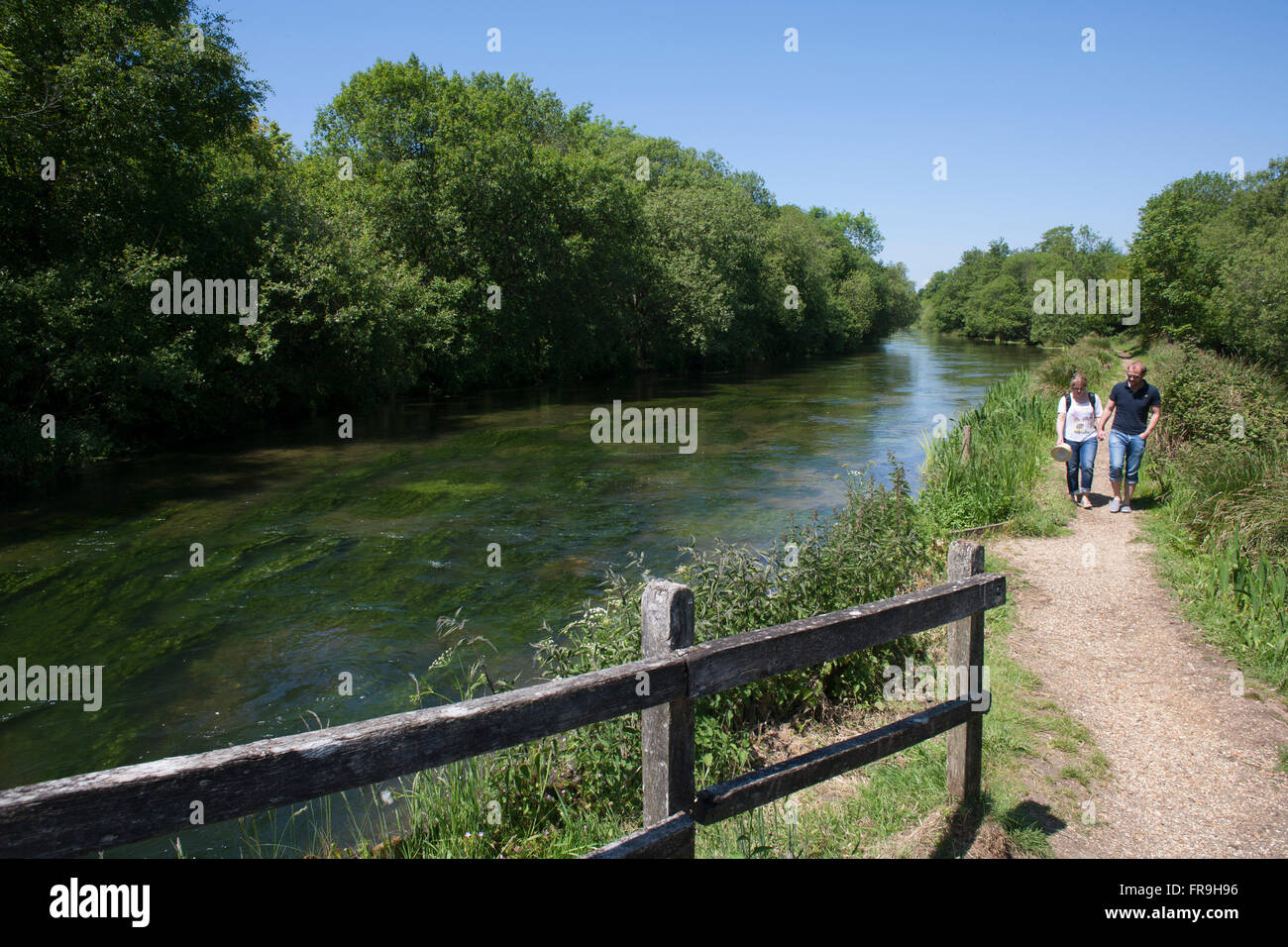 Chalk stream river itchen hi-res stock photography and images - Alamy