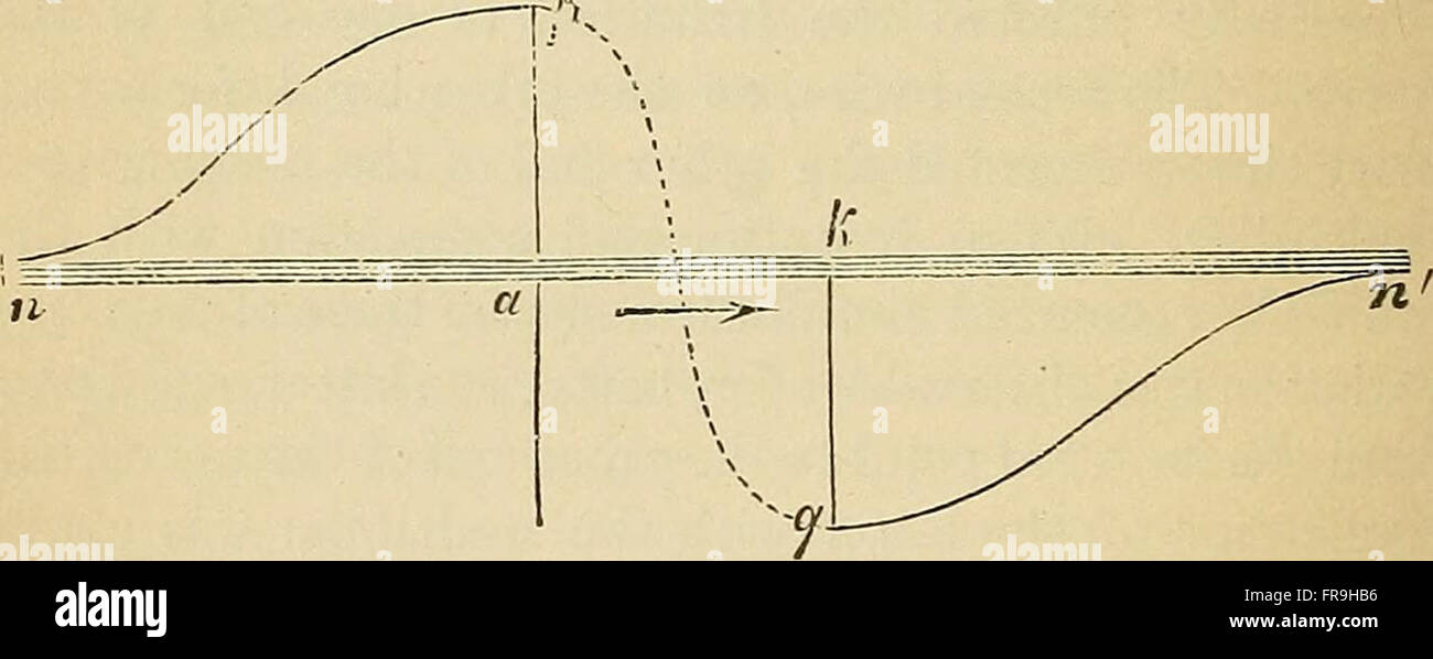 This 1881 textbook offers a comprehensive understanding of muscle and ...