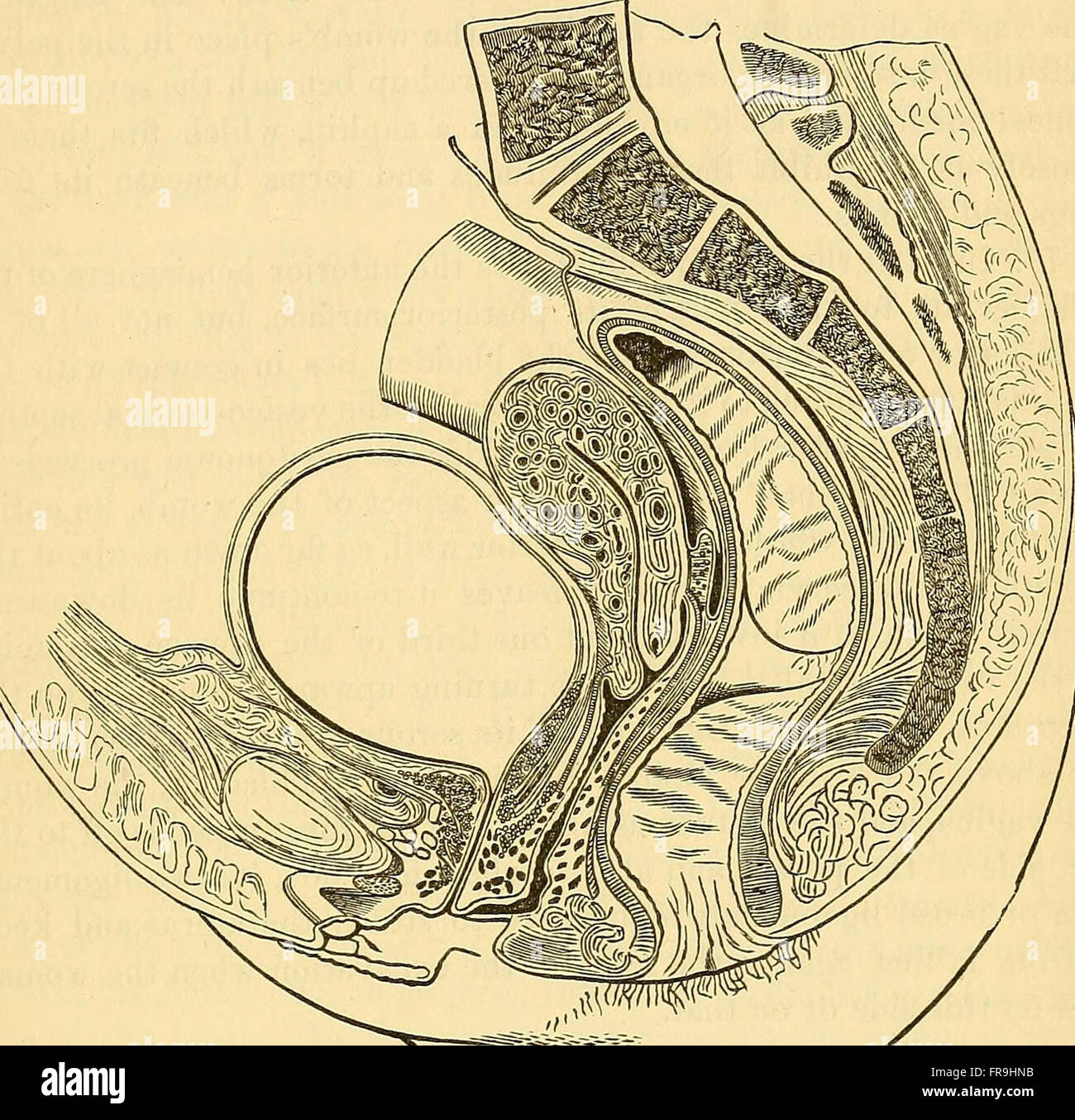 An 1867 book on obstetrics, detailing the scientific and medical ...