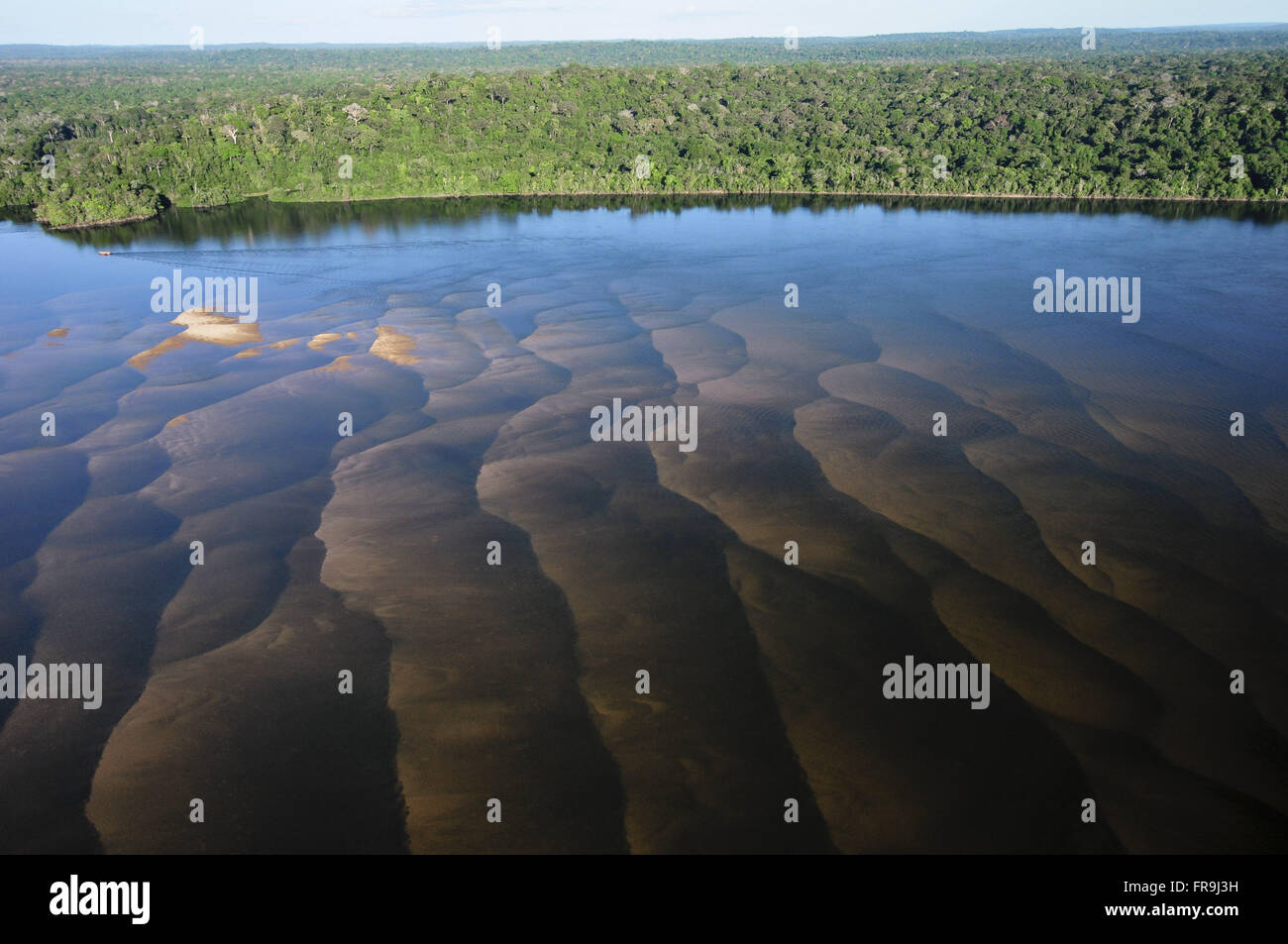 Tapajos national park hi-res stock photography and images - Alamy