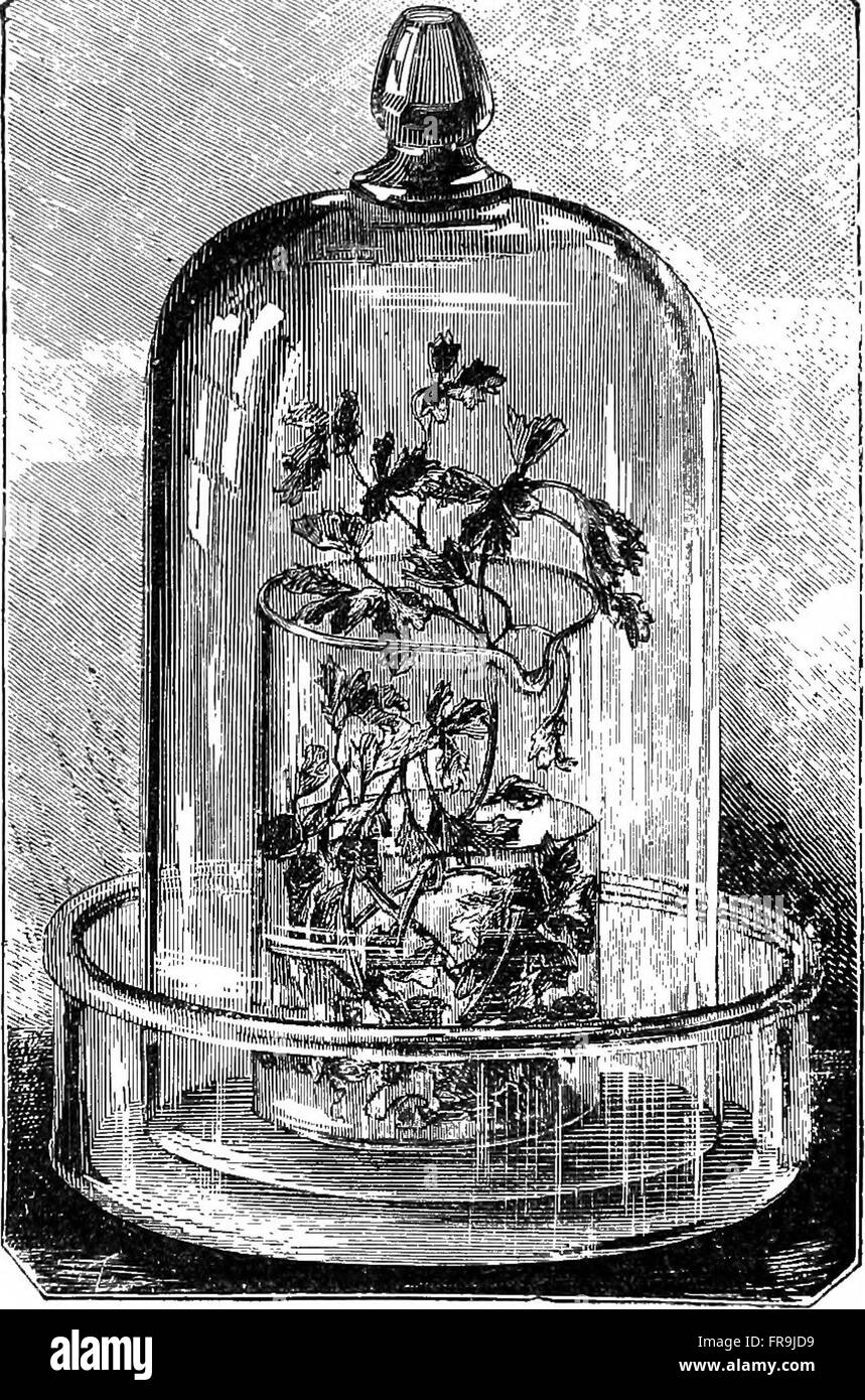 The 1890 book 'Scientific Amusements' offers practical activities and ...