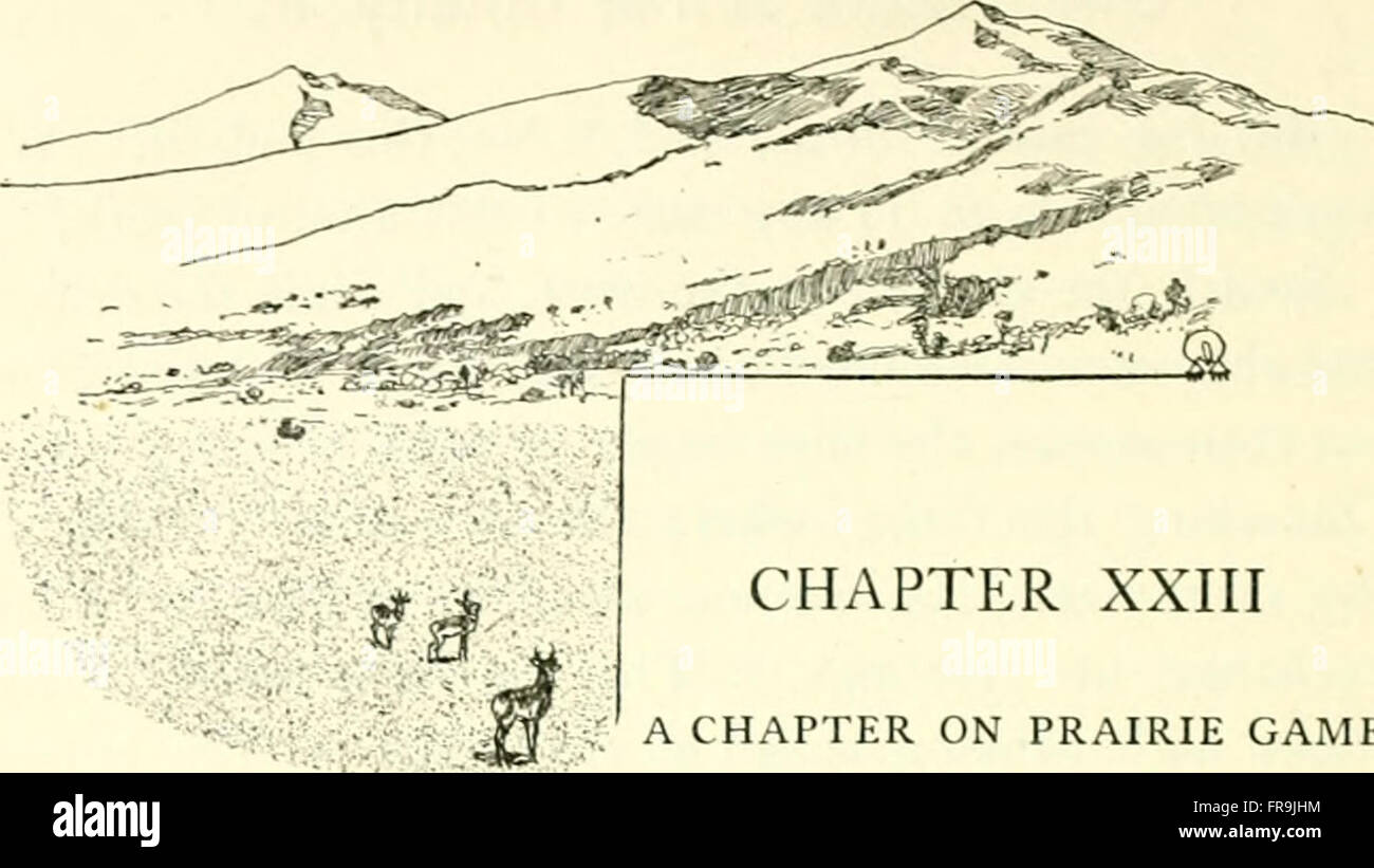 Boy life on the prairie (1899 Stock Photo - Alamy