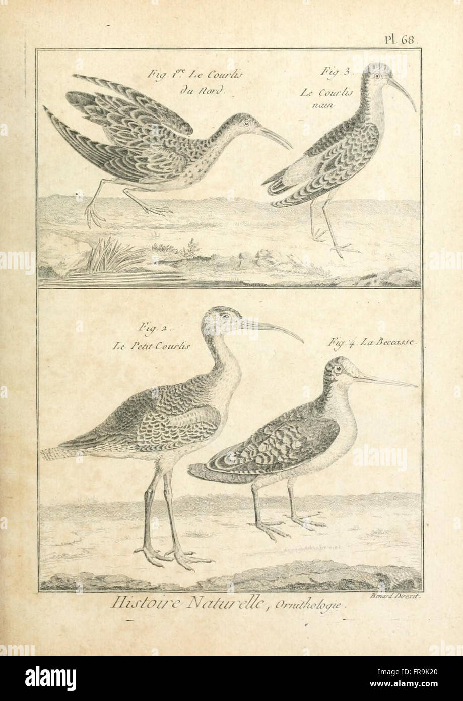 This encyclopedic work presents a systematic classification of the ...