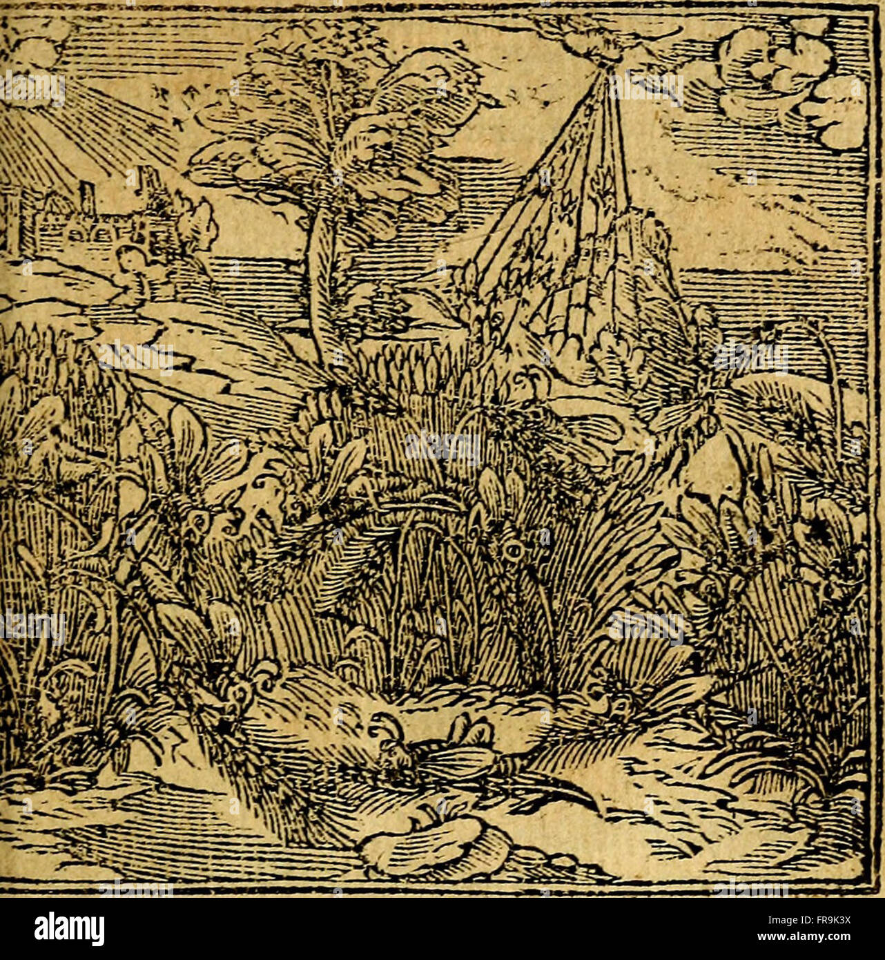 'Omnia D. And. Alciati Emblemata' is a collection of emblems and ...