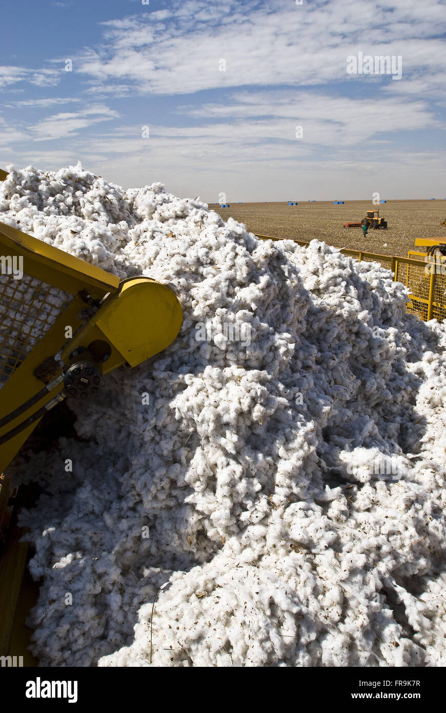 Unloading and pressing of cotton in a rural area of Costa Rica - Mato ...
