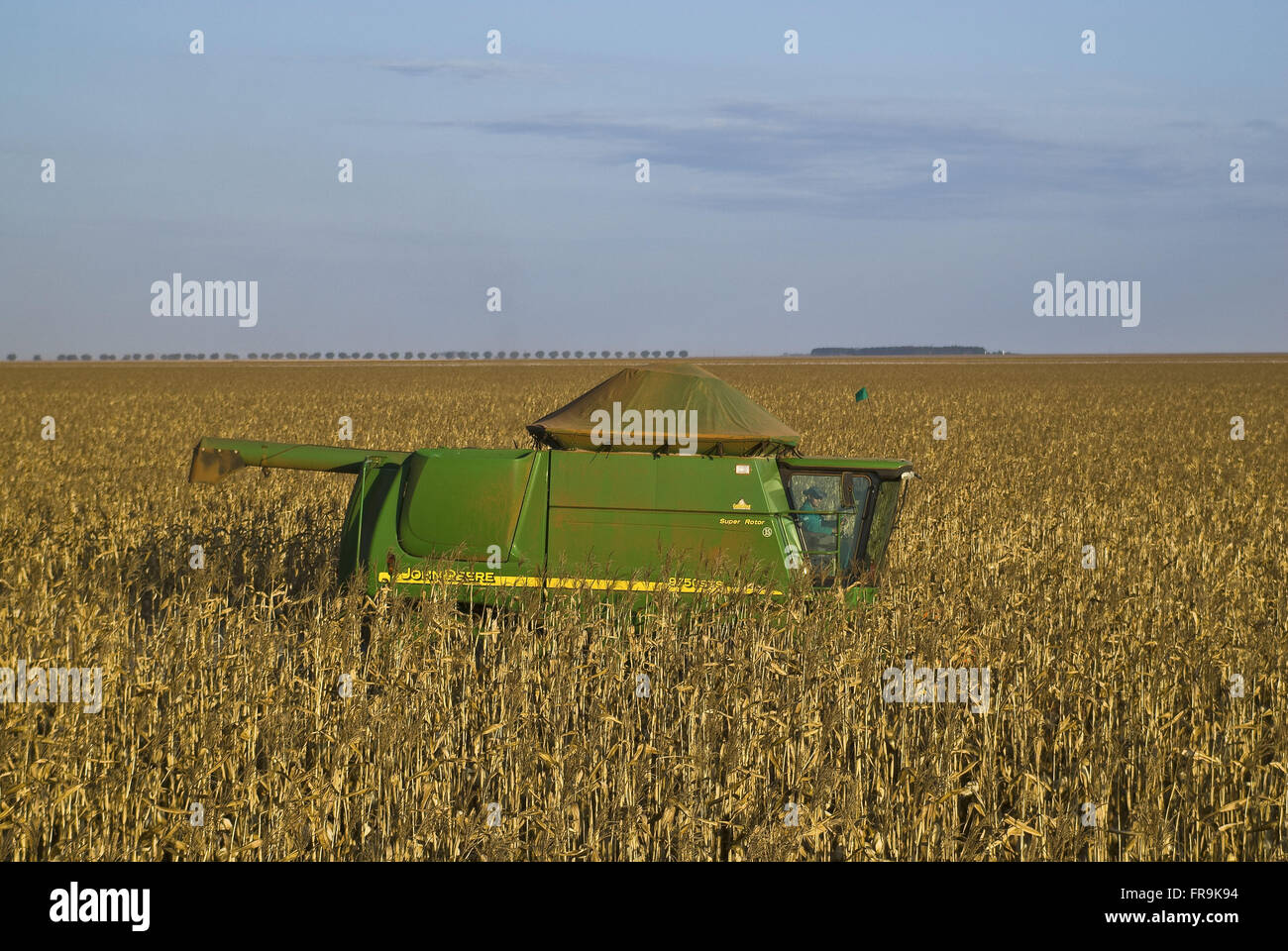Harvesting corn in a rural area of Costa Rica - Mato Grosso do Sul ...