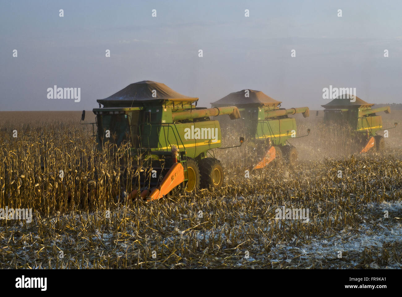 Harvesting corn in a rural area of Costa Rica - Mato Grosso do Sul ...