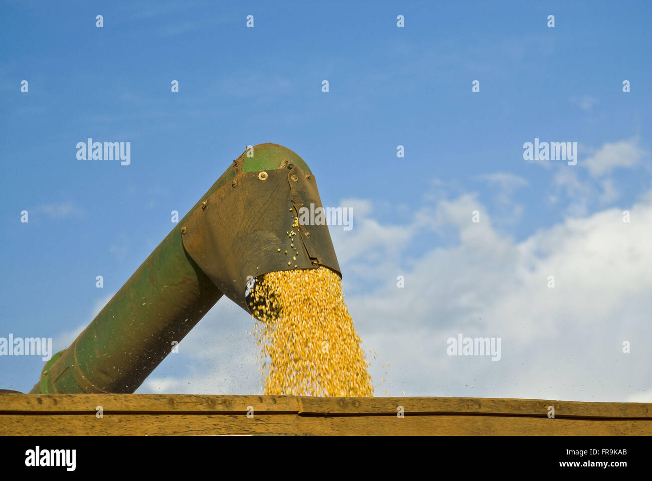 Unloading corn in a rural area of Costa Rica - Mato Grosso do Sul Stock ...