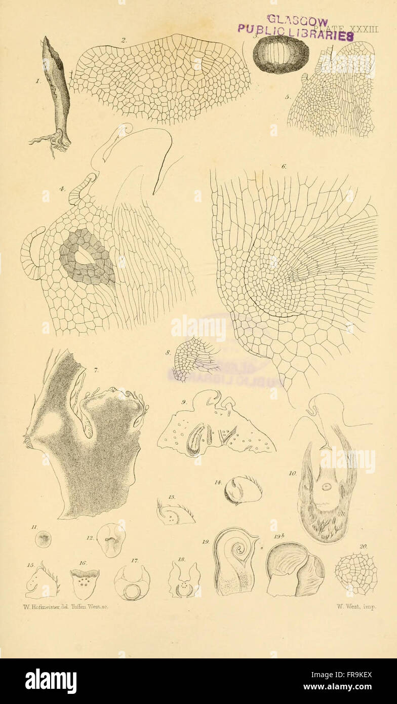 This plate focuses on the germination, growth, and reproduction ...