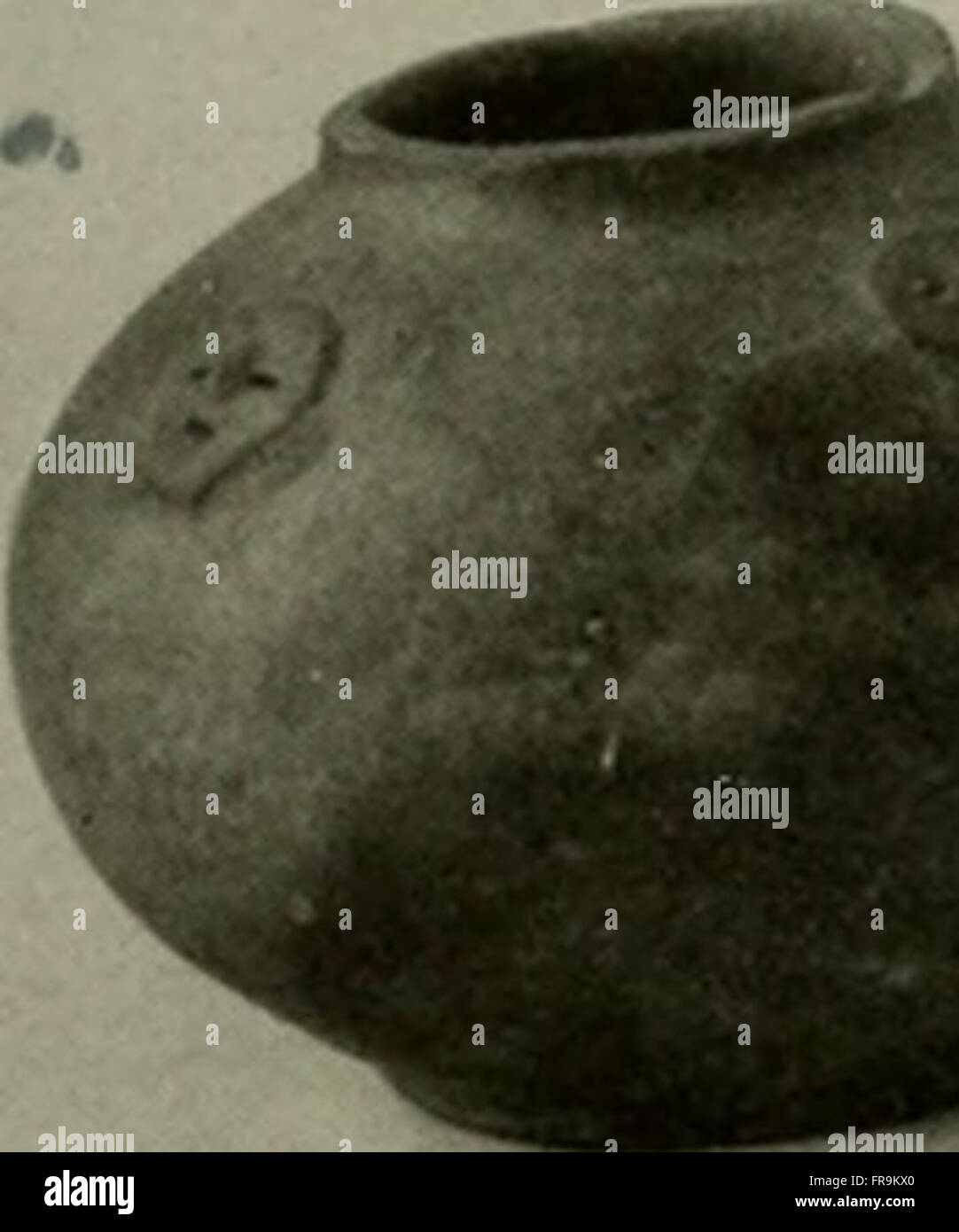 The American Museum Journal (c1900-1918) provides in-depth articles on ...