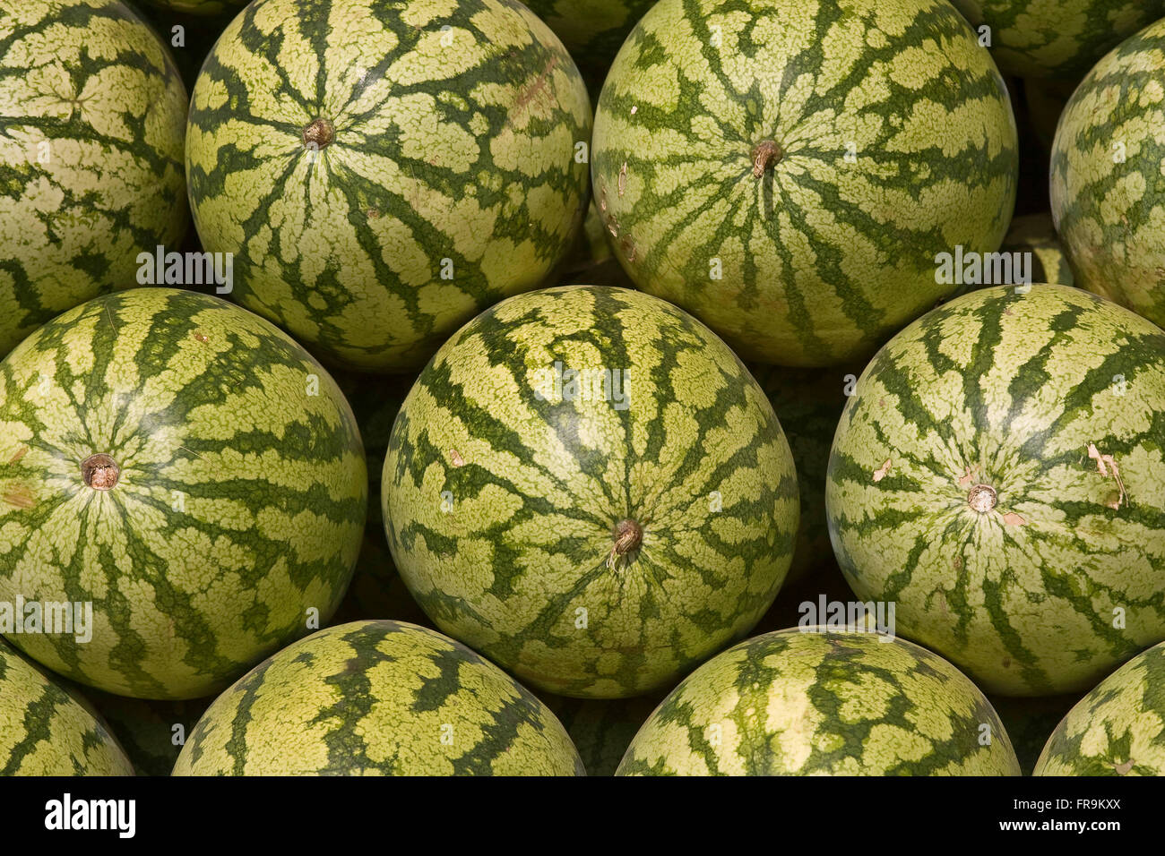 Asia, India, Karnataka, Belur, melons Stock Photo - Alamy