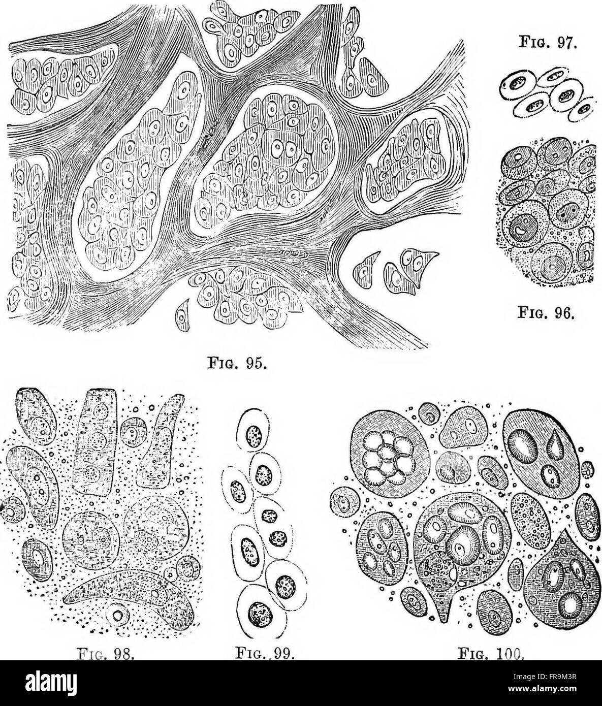 Calligraphy practice book Black and White Stock Photos & Images - Alamy