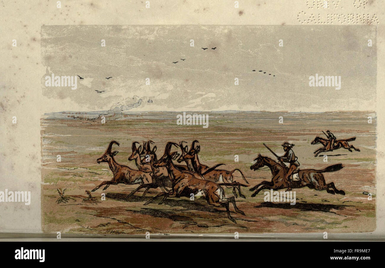 Traditional indigenous games africa hi-res stock photography and images ...