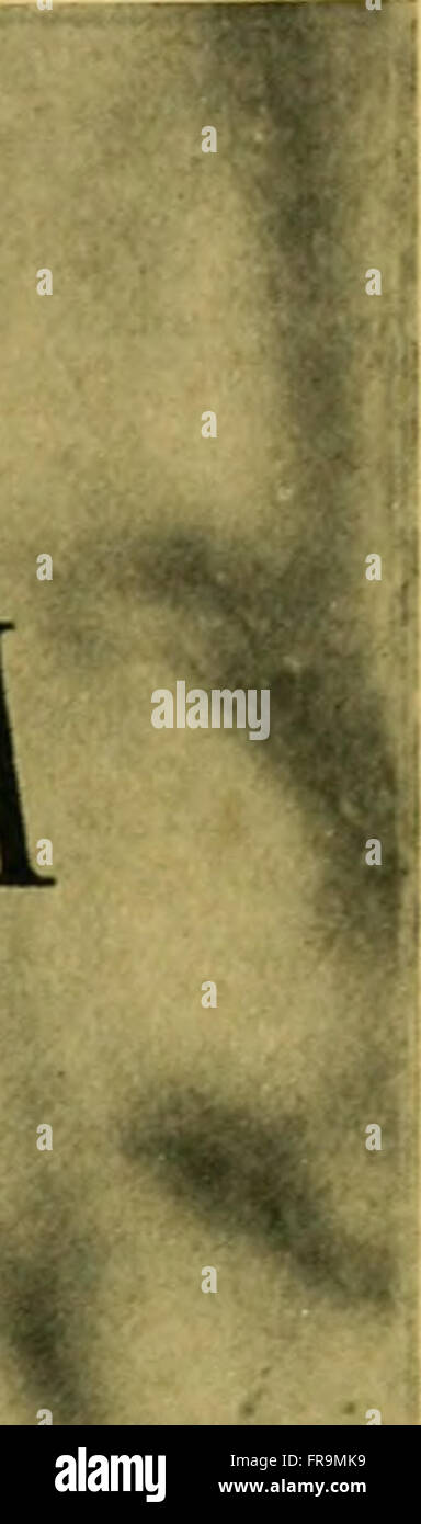 This journal from the early 20th century highlights various natural ...