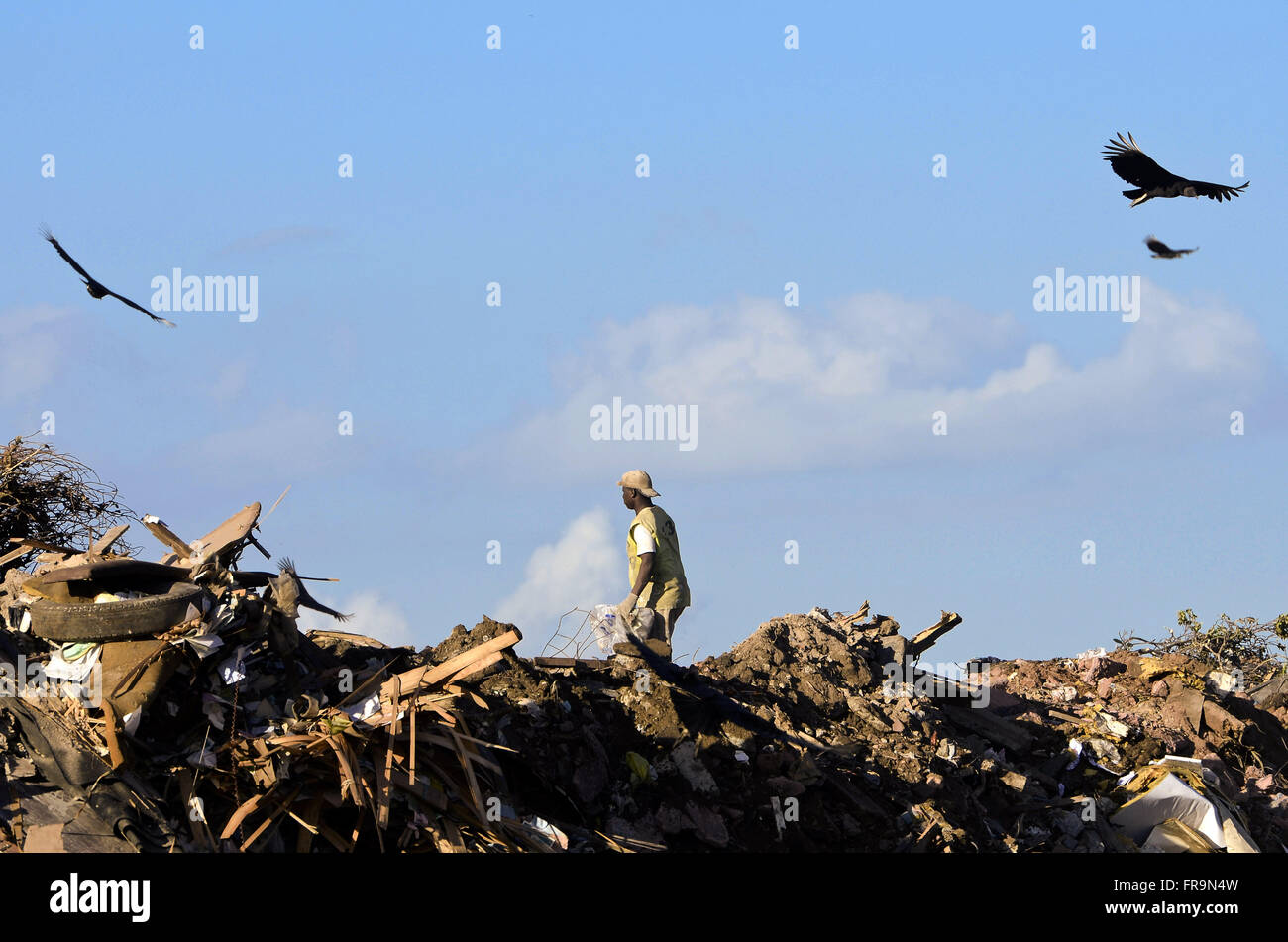 Collector collecting recyclable waste at the Sanitary Landfill of ...