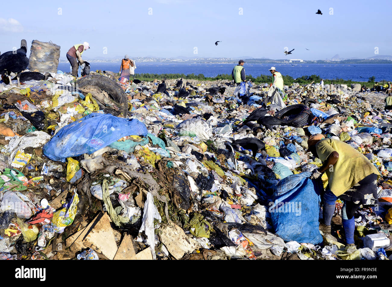 Scavengers collecting recyclable waste at the Sanitary Landfill of ...