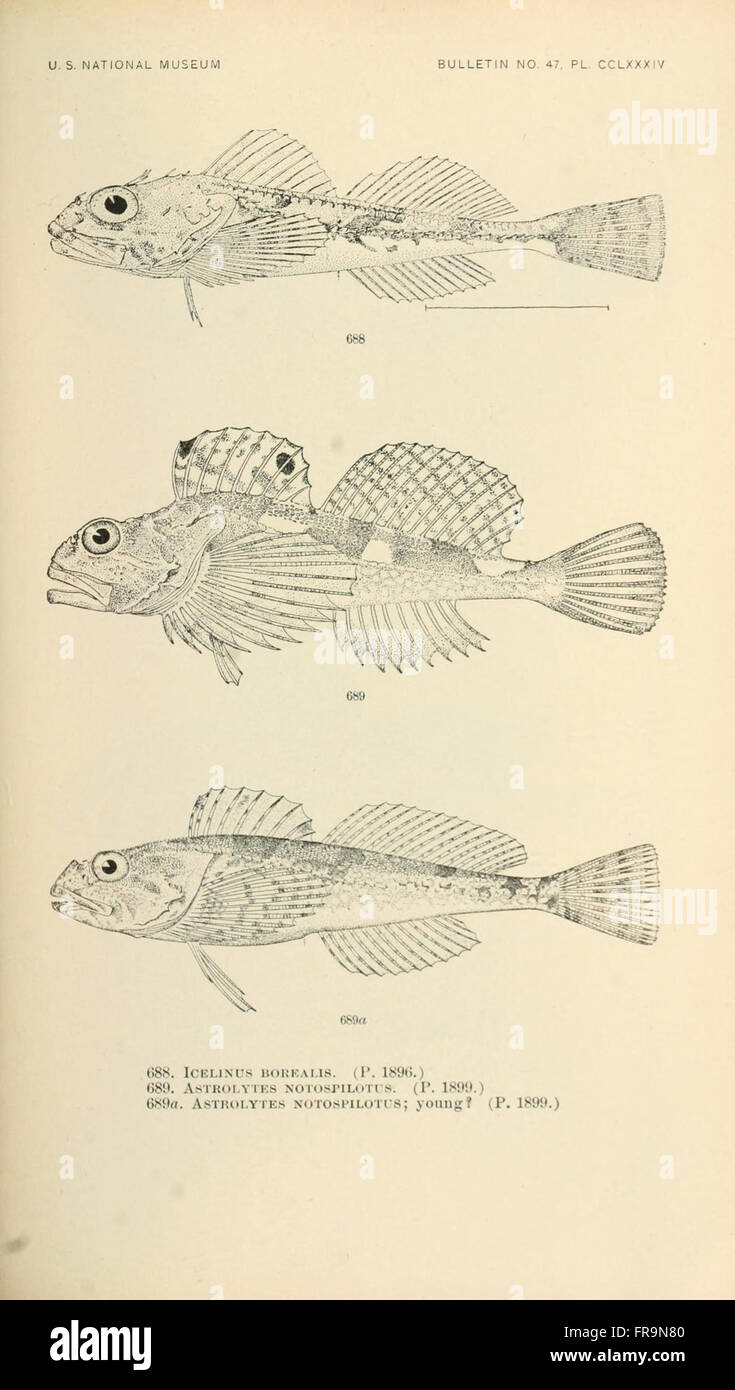 1880s native america hi-res stock photography and images - Alamy