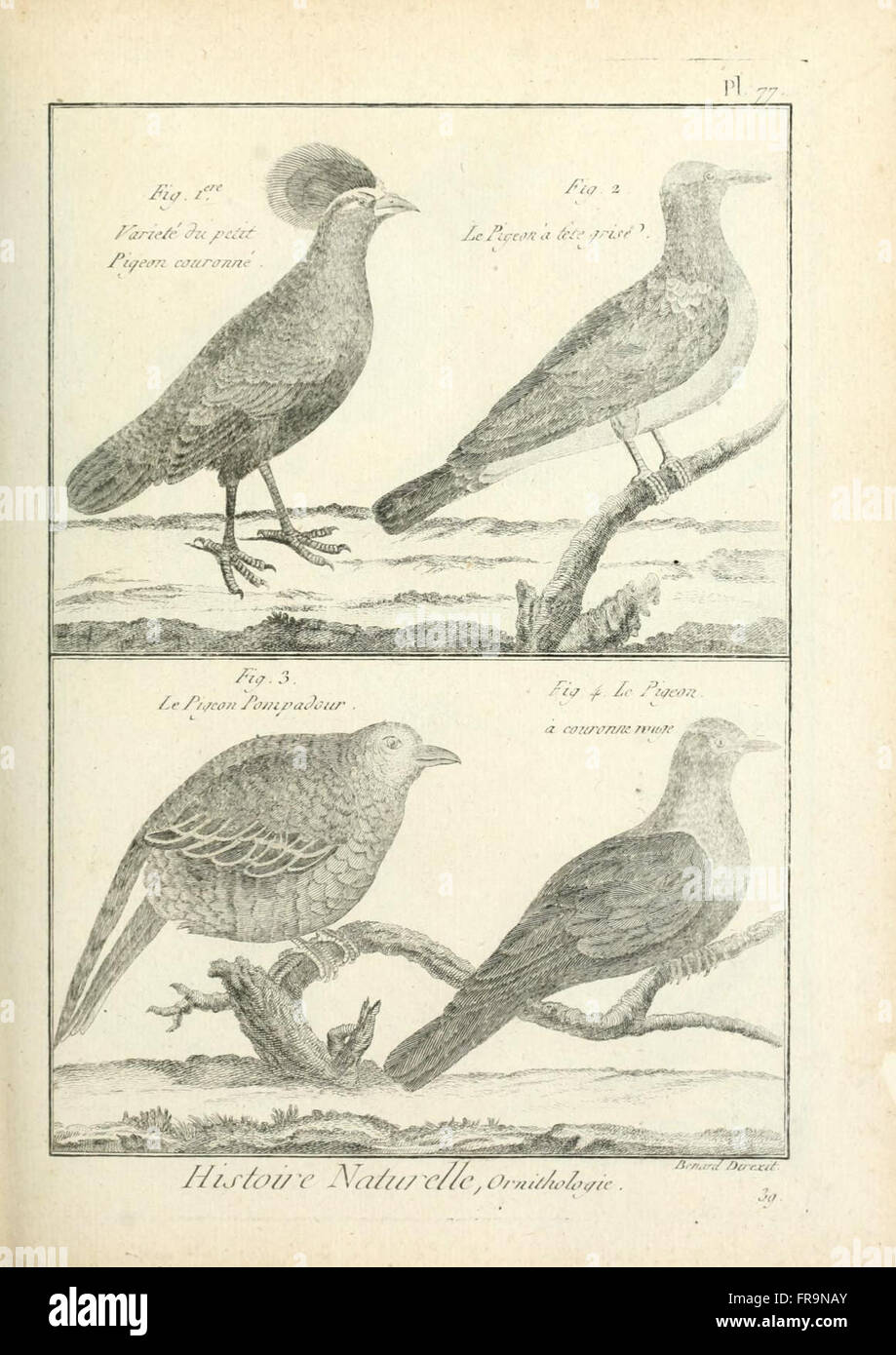 Tableau de classification hi-res stock photography and images - Alamy