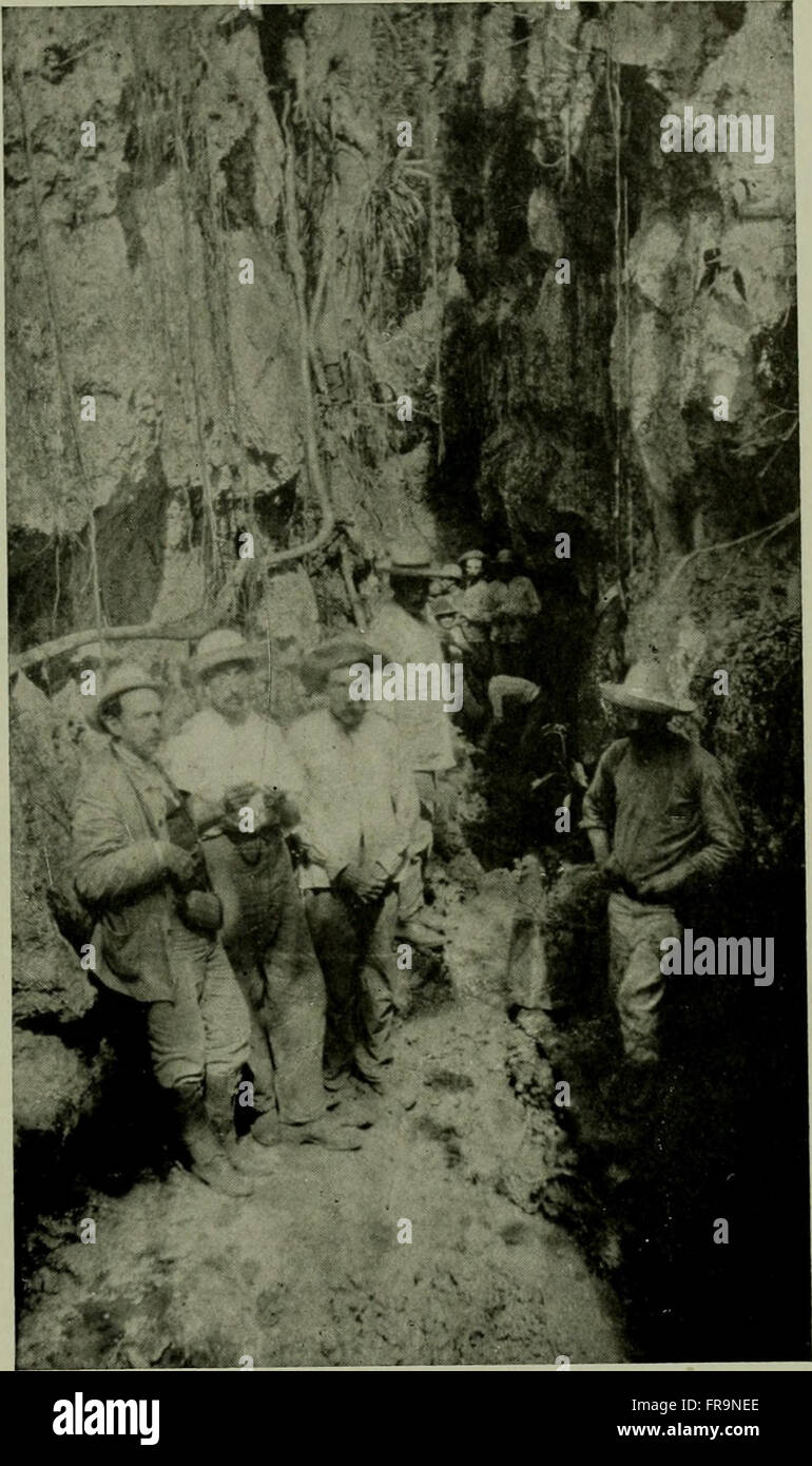 The American Museum Journal (c. 1900-1918) documents the museum's ...