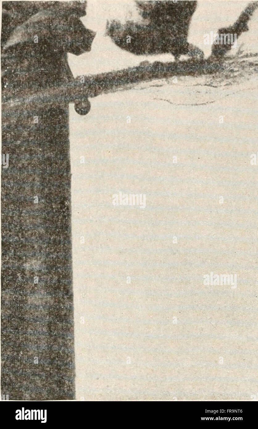 A 1911 textbook introducing zoology and human physiology, covering ...