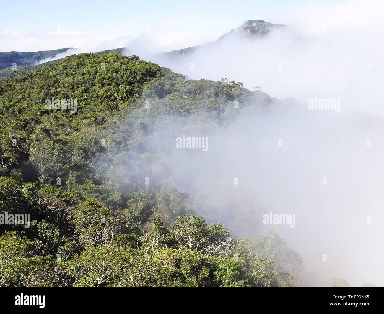 Monte verde minas gerais, brazil hi-res stock photography and images ...