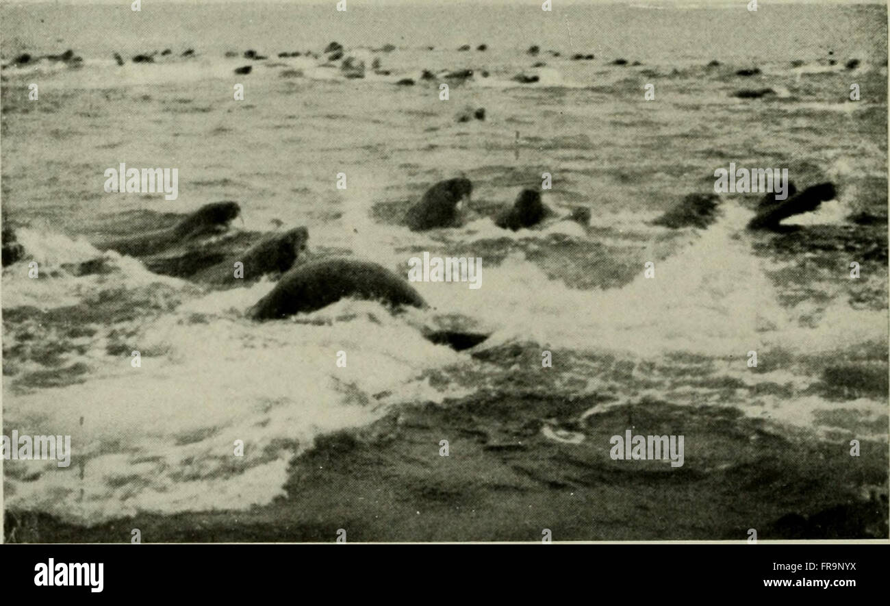This journal, published between 1900 and 1918, covers a variety of ...