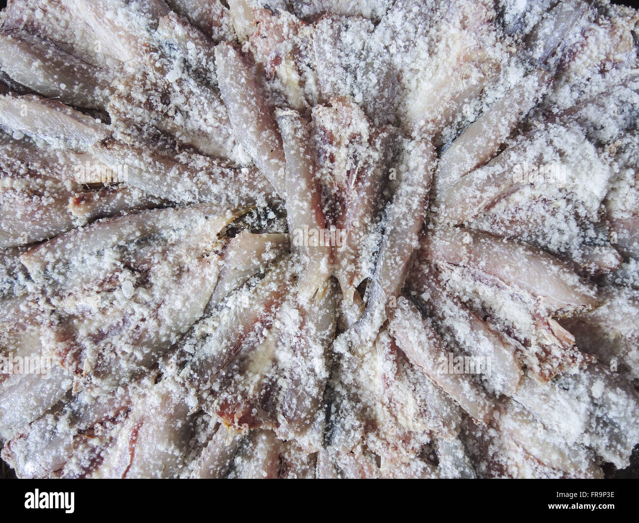 Municipal Fish Market Stock Photos & Municipal Fish Market Stock Images ...