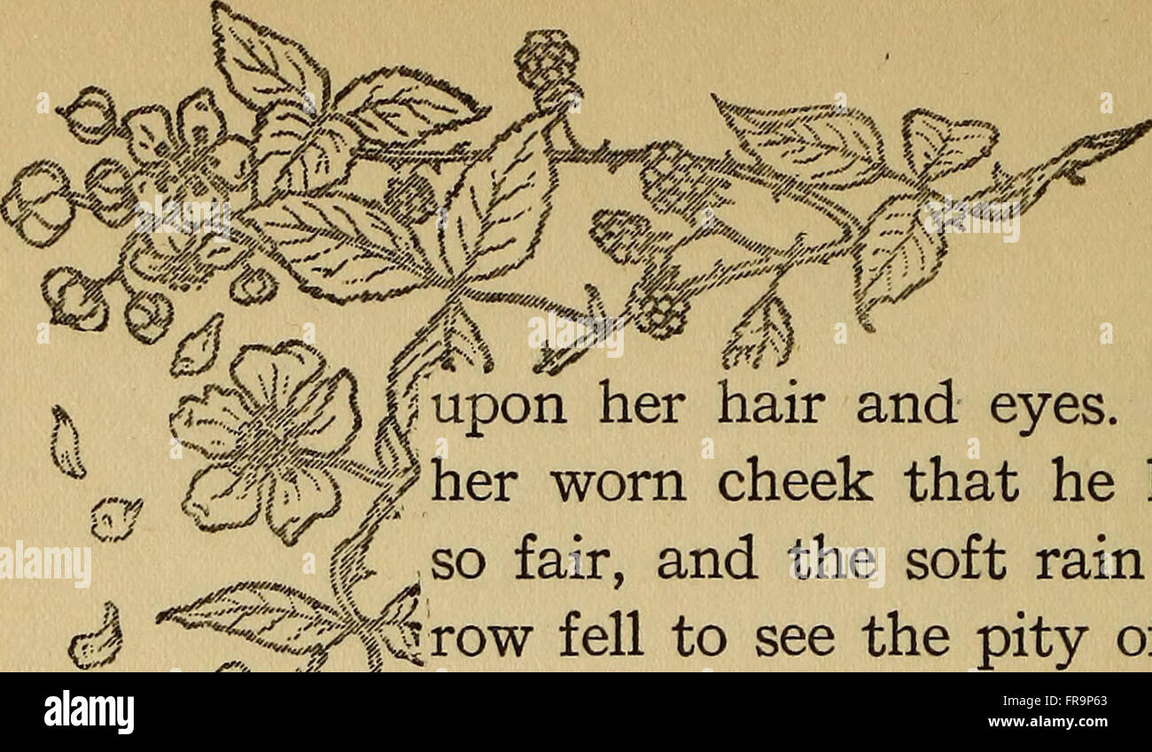 Published in 1906, this work tells the story of Black Roderick ...