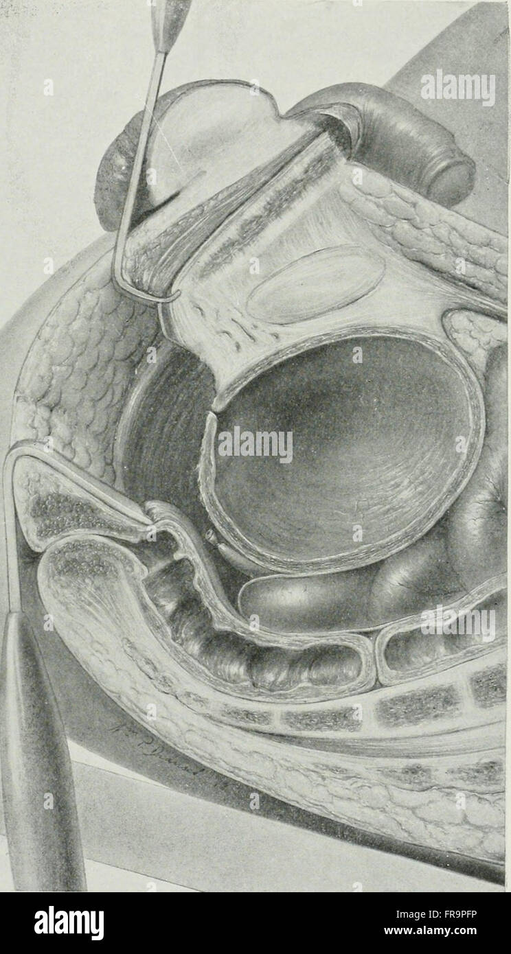 This 1913 work explores the discovery and uses of radium, detailing its ...