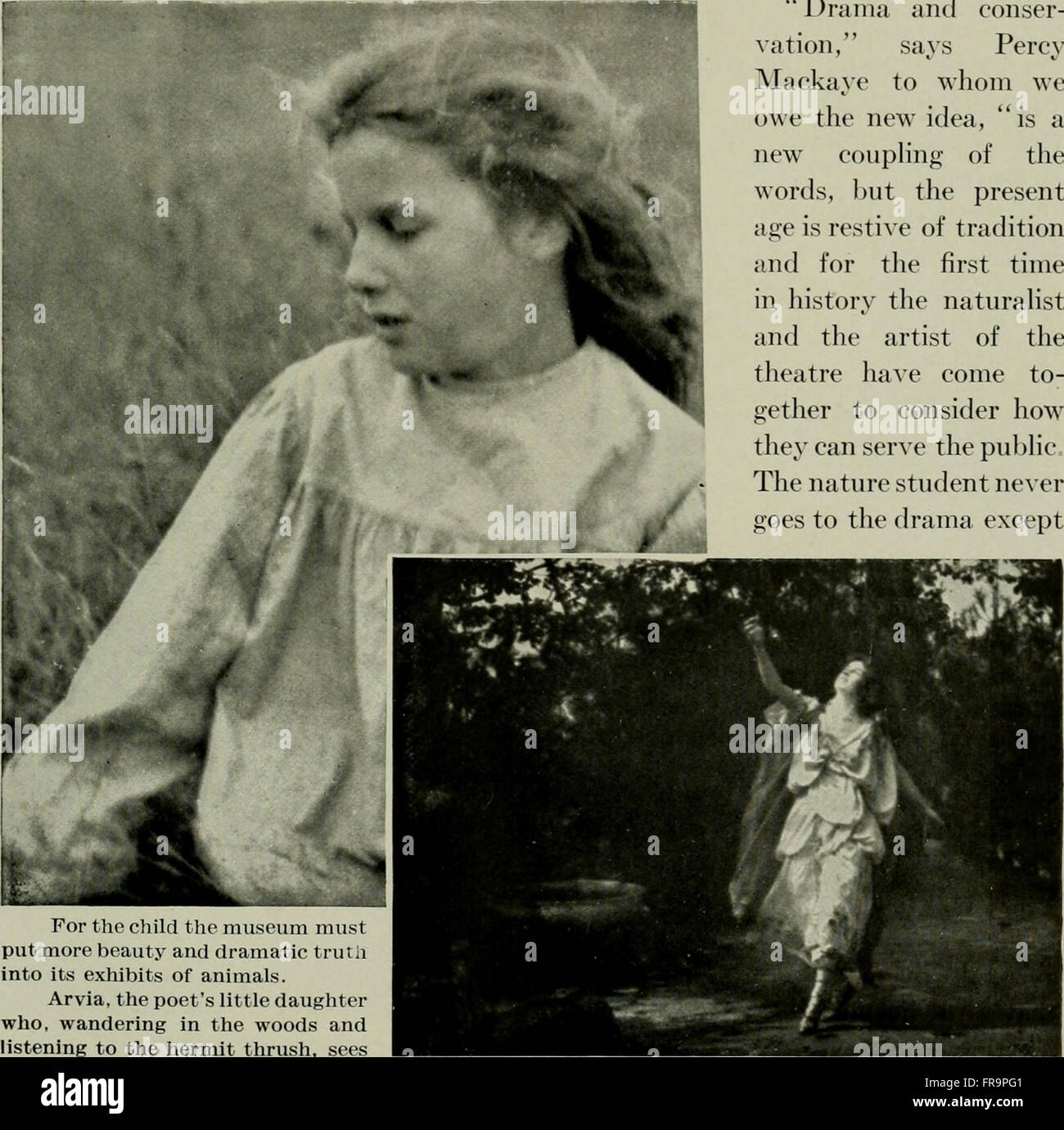 This journal, spanning from the early 1900s to 1918, highlights the ...