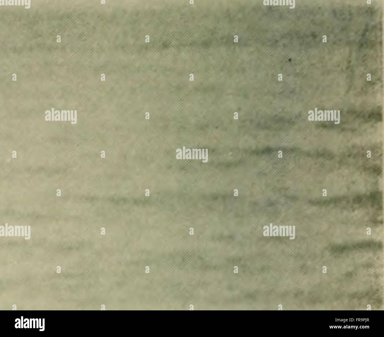 The American Museum journal (c1900-(1918 Stock Photo - Alamy